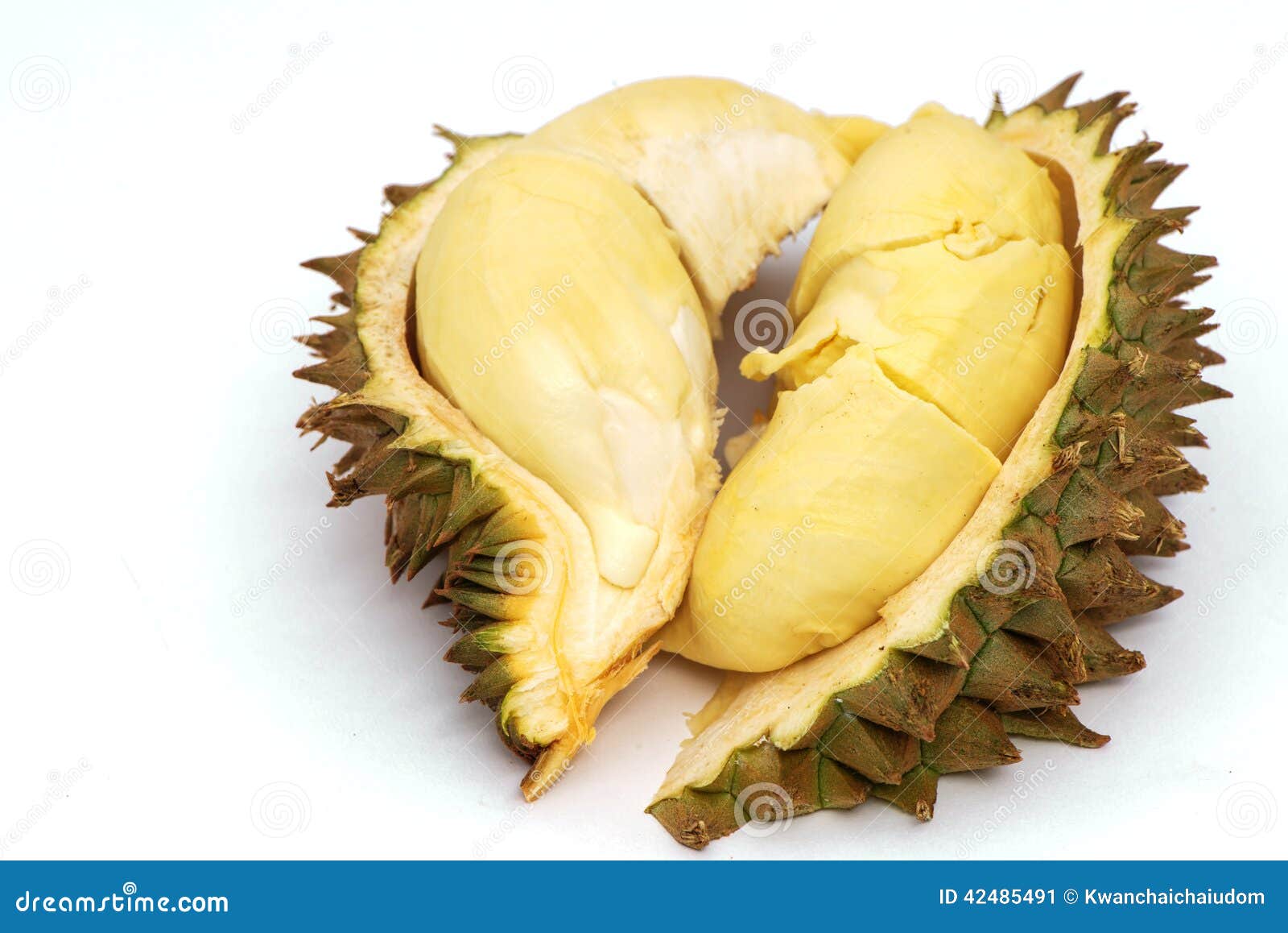 Rey de la fruta; Durian imagen de archivo. Imagen de espinas - 42485491