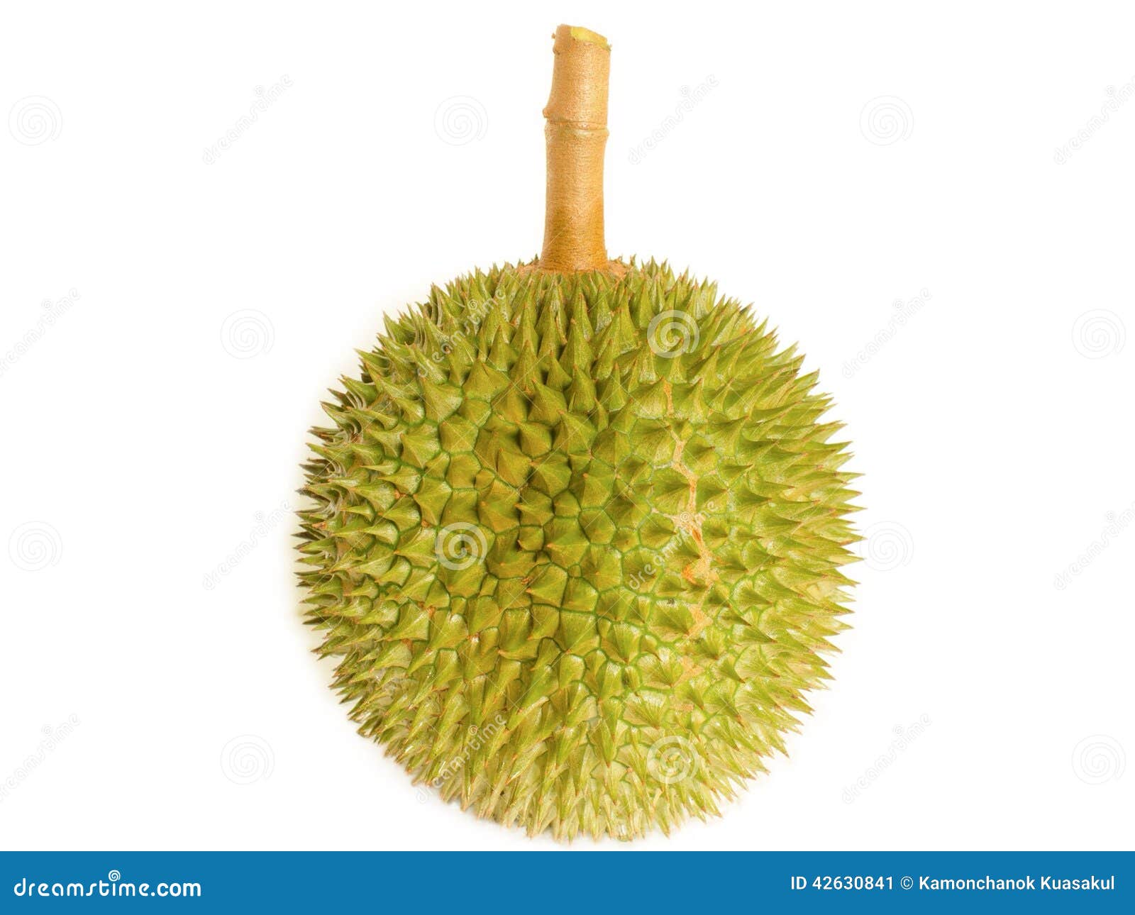 Rey de la fruta, durian imagen de archivo. Imagen de maduro - 42630841