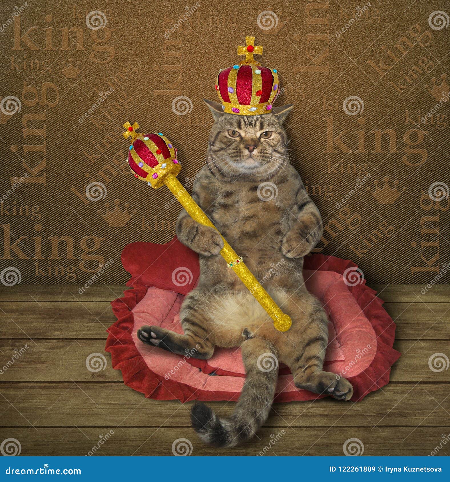 Rey del gato en la cama imagen de archivo. Imagen de emperador - 122261809