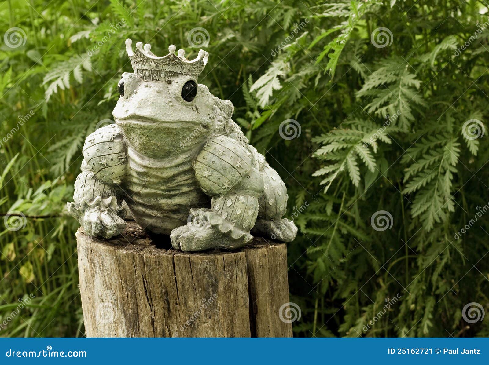 Rey del sapo imagen de archivo. Imagen de madera, sentada - 25162721