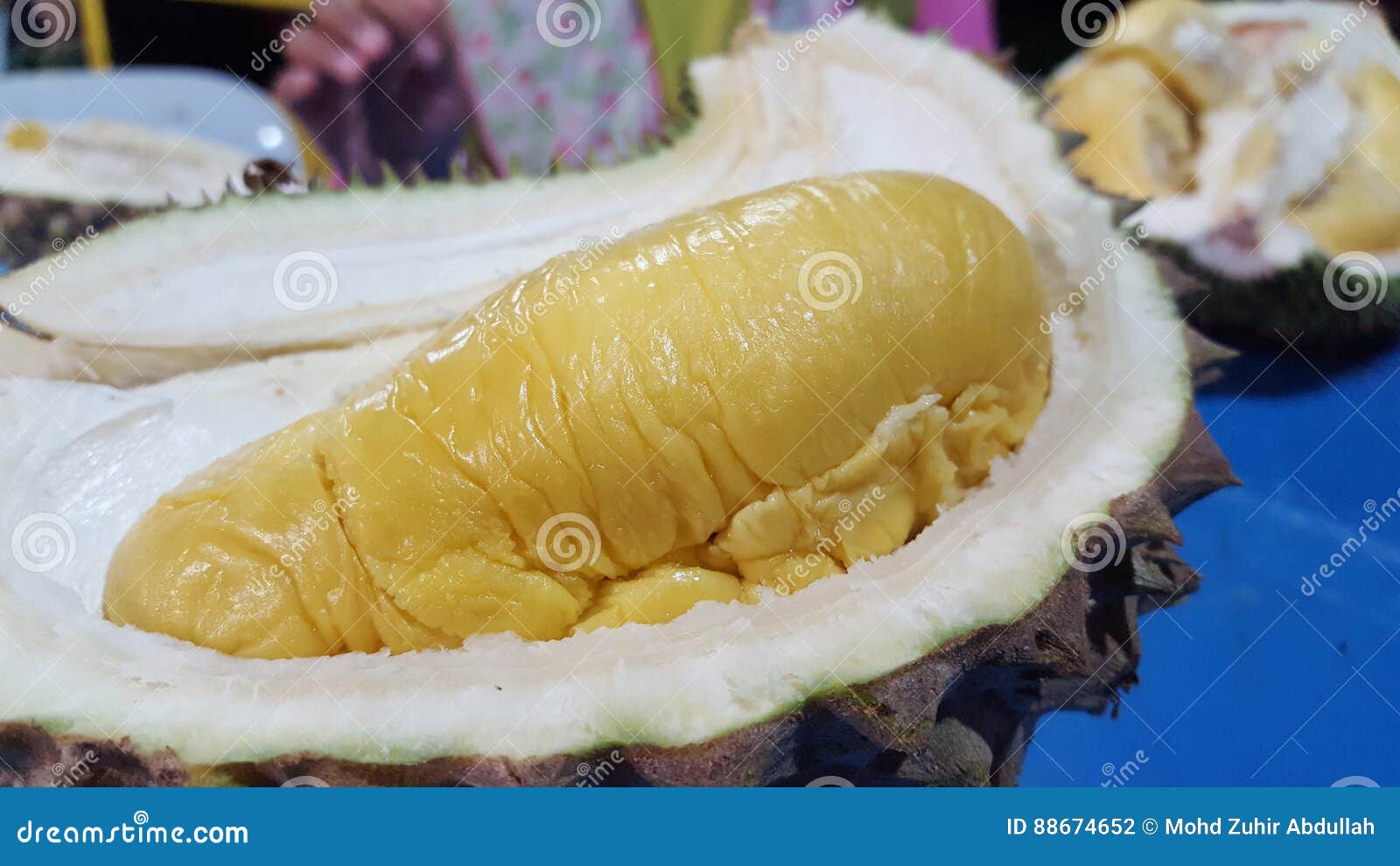 Rey Fresco Durian De Musang Foto de archivo - Imagen de fresco ...