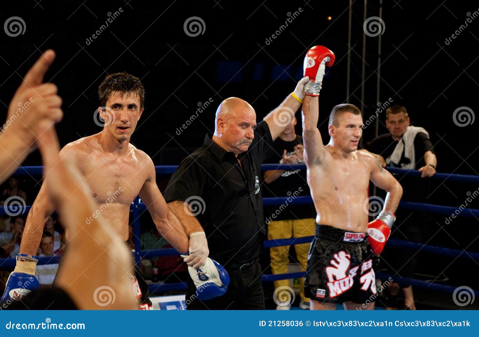 RFC kick box championship editorial photo. Image of challenge - 21258036