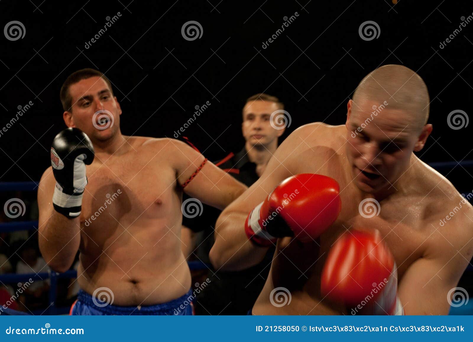 RFC kick box championship editorial image. Image of defend - 21258050