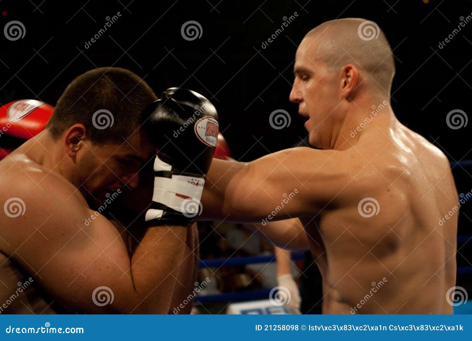 RFC kick box championship editorial stock photo. Image of adult - 21258098