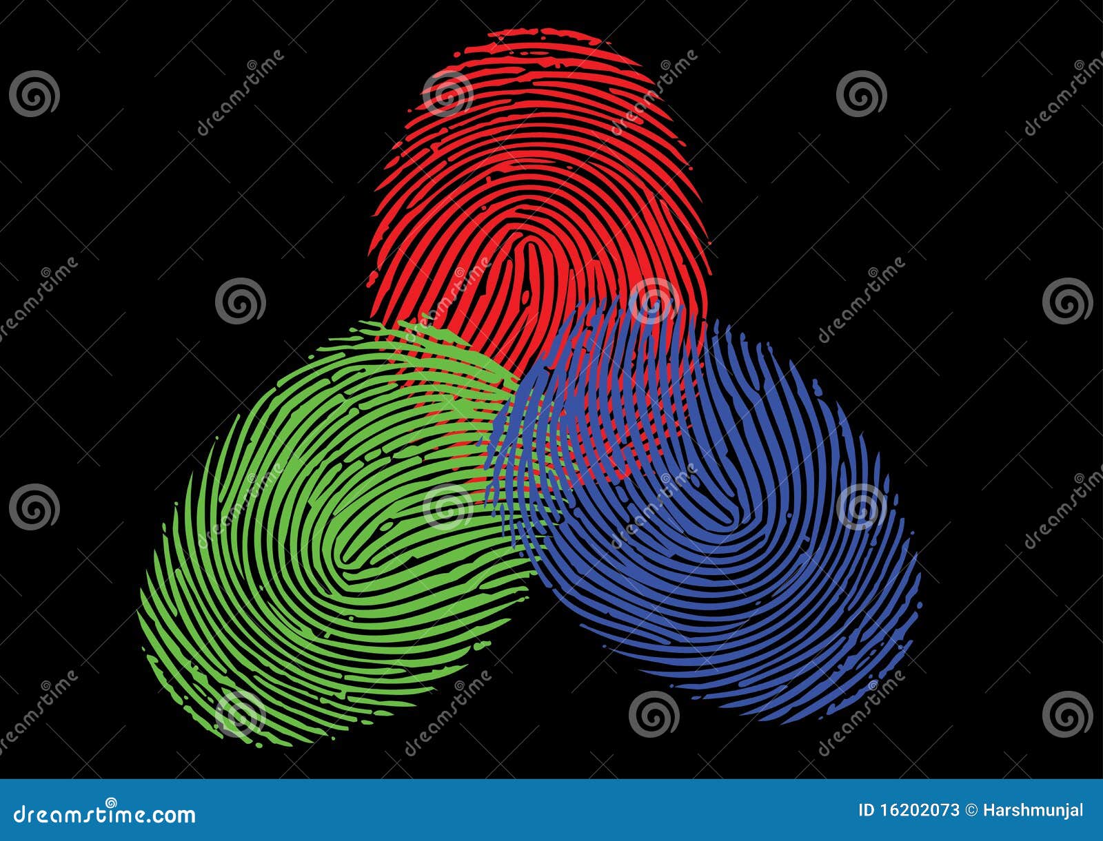 Fingerprint Thumbprint Vector Icons Set. Approved, Rejected And Scan ...