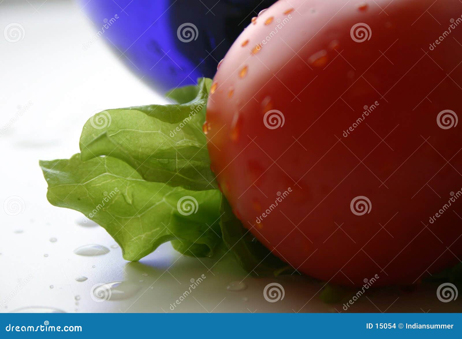 RGB still-life stock photo. Image of salad, plate, side - 15054