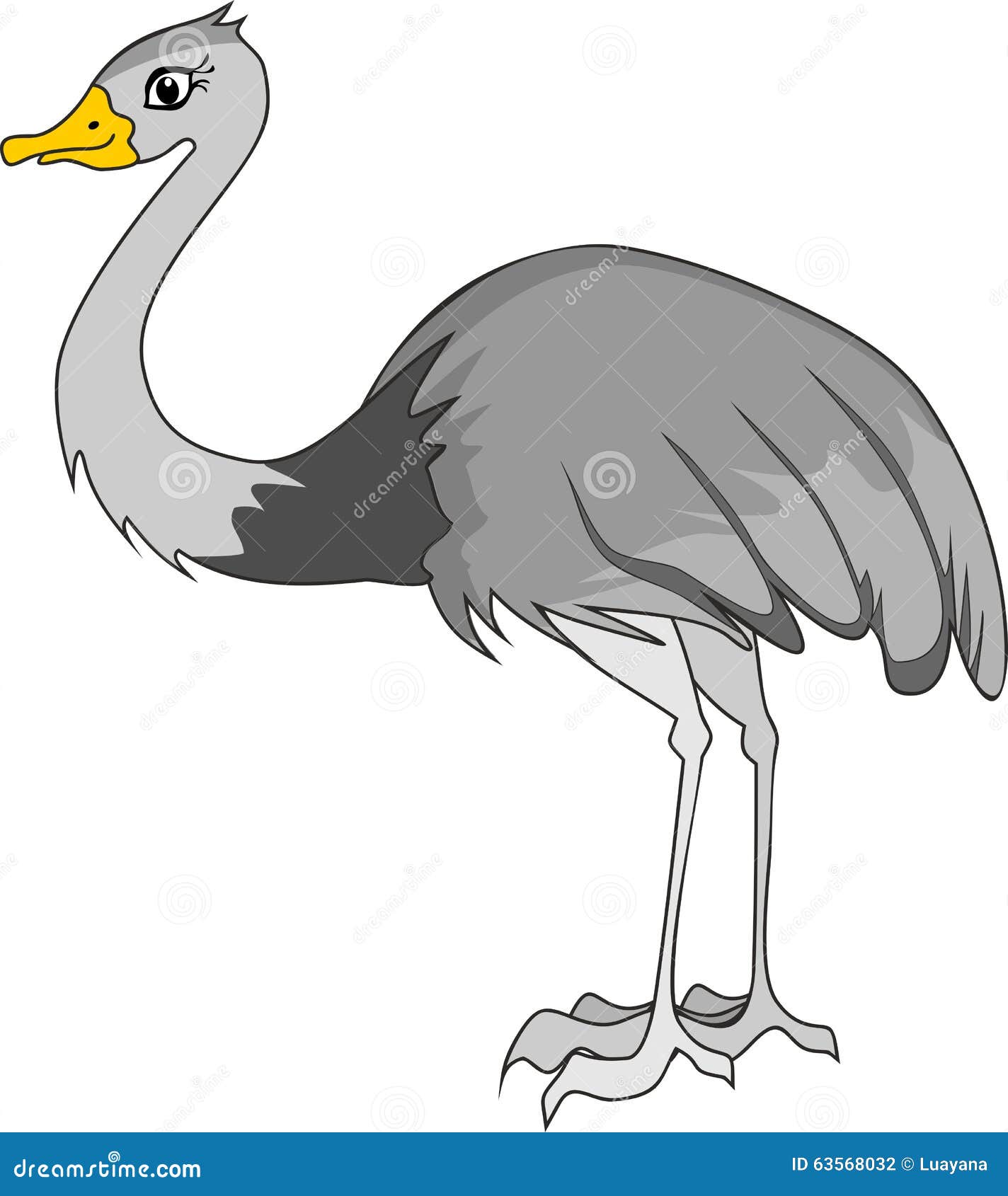 Rhea illustration stock. Illustration du oiseau, nandou - 63568032