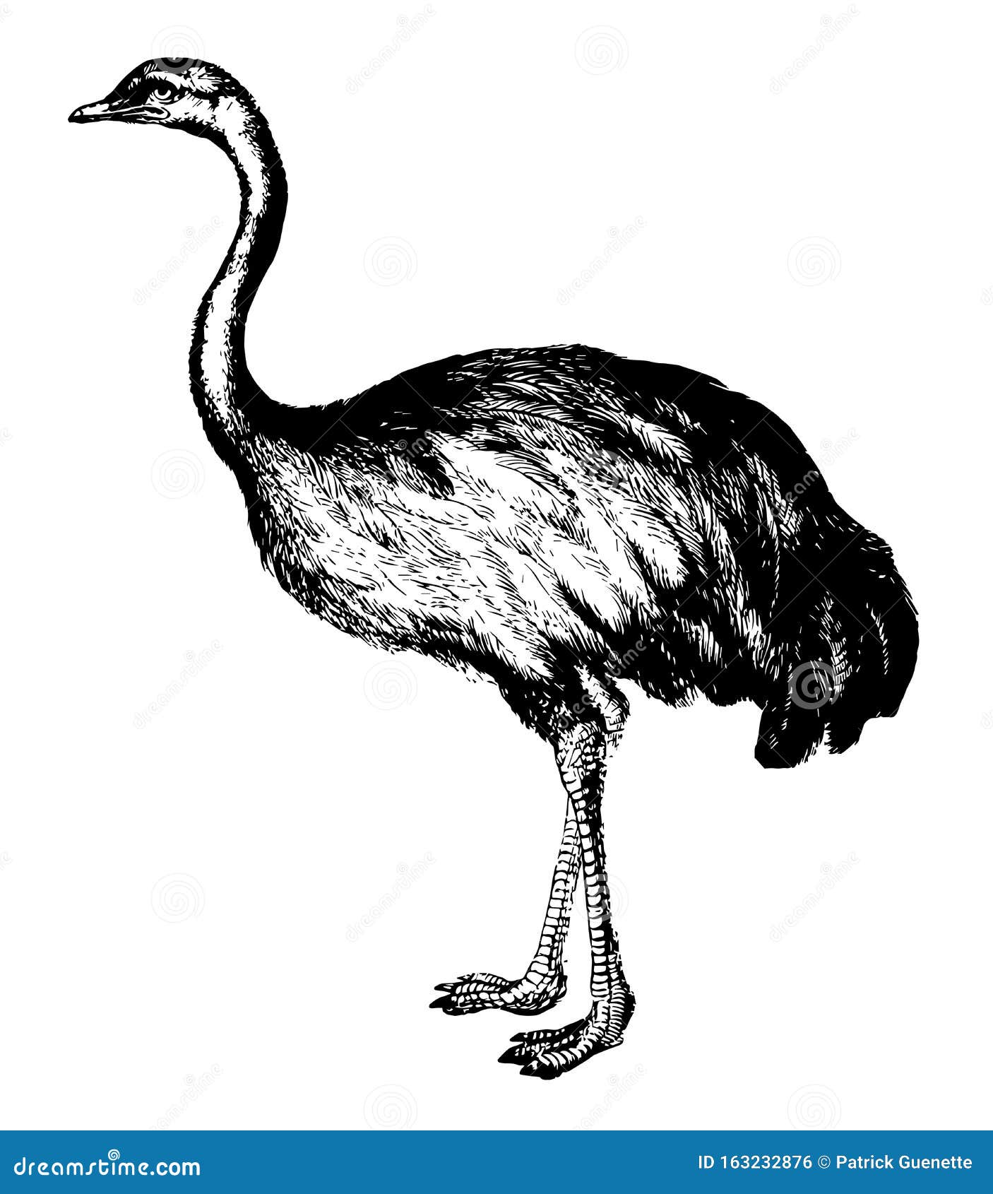 Rhea Vintage Illustration | CartoonDealer.com #163232876