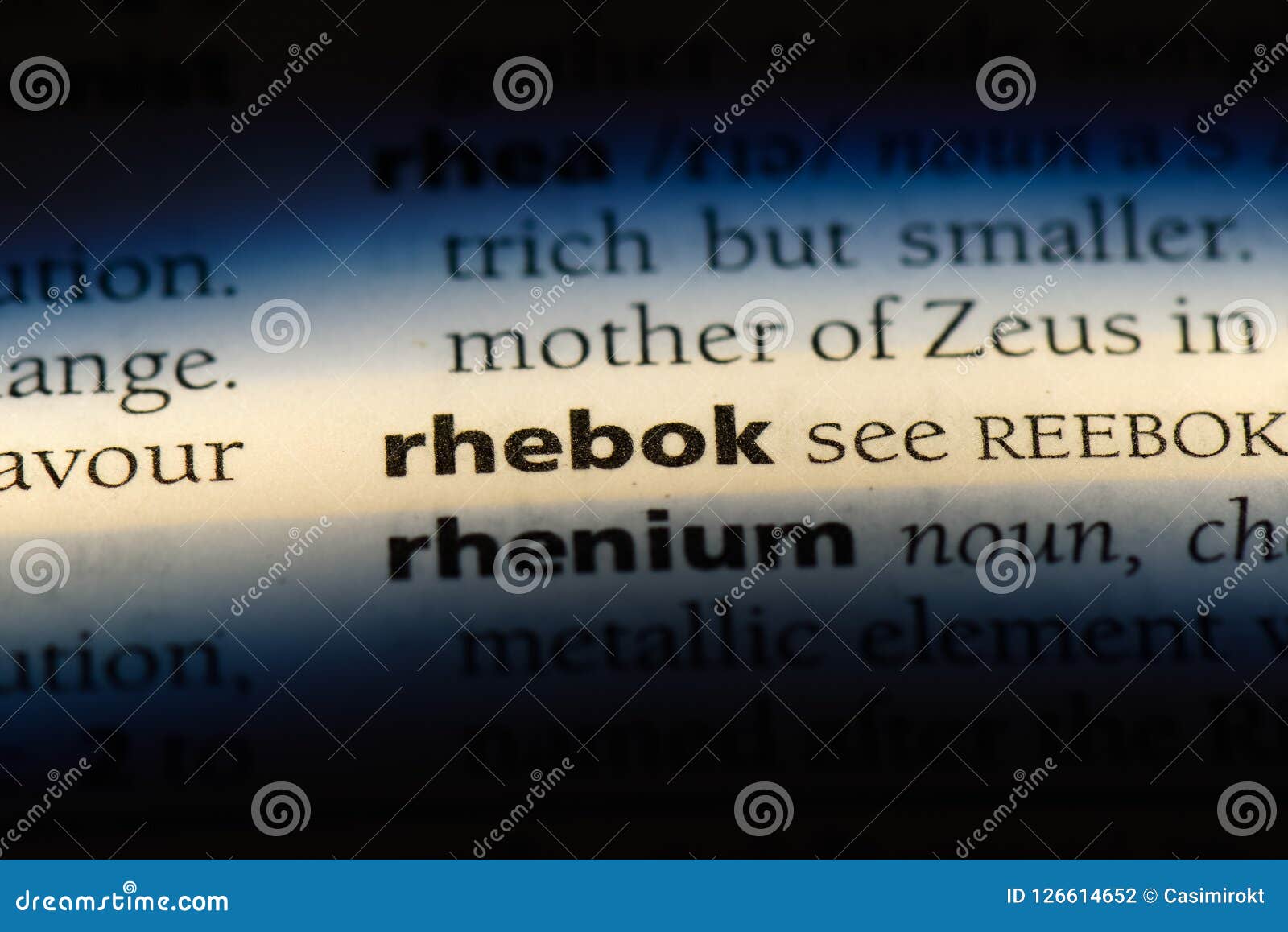 Rhebok stock photo. Image of info, page, definition - 126614652