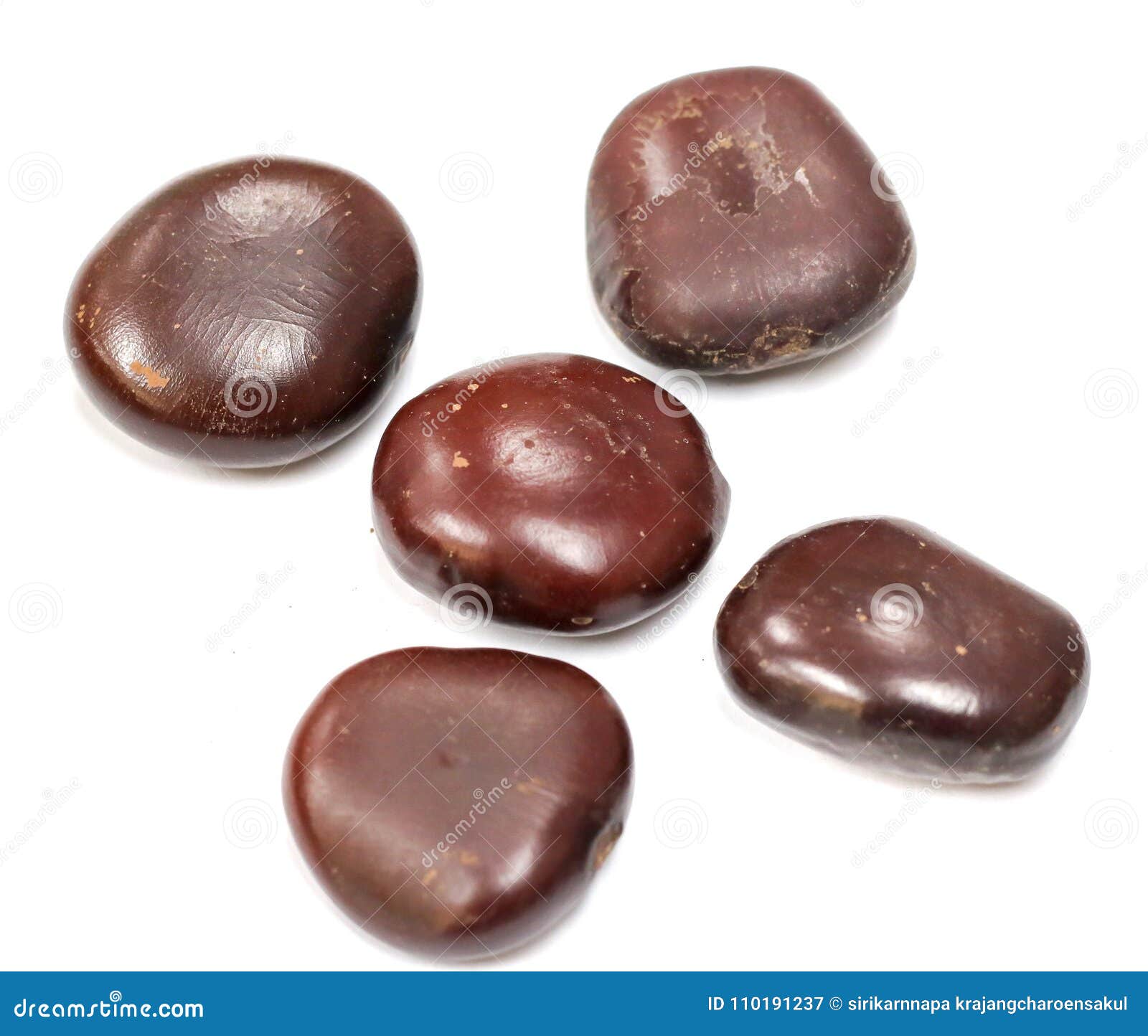 Rheedii de Entada imagen de archivo. Imagen de trepador - 110191237