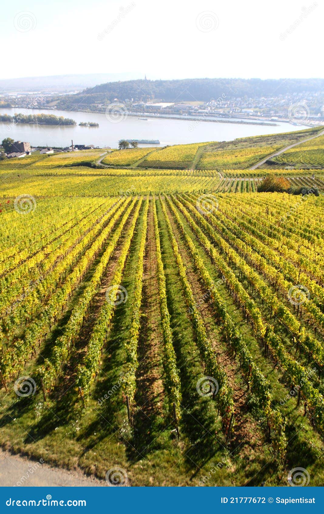 Rheingau vineyards stock photo. Image of clouds, foliage - 21777672