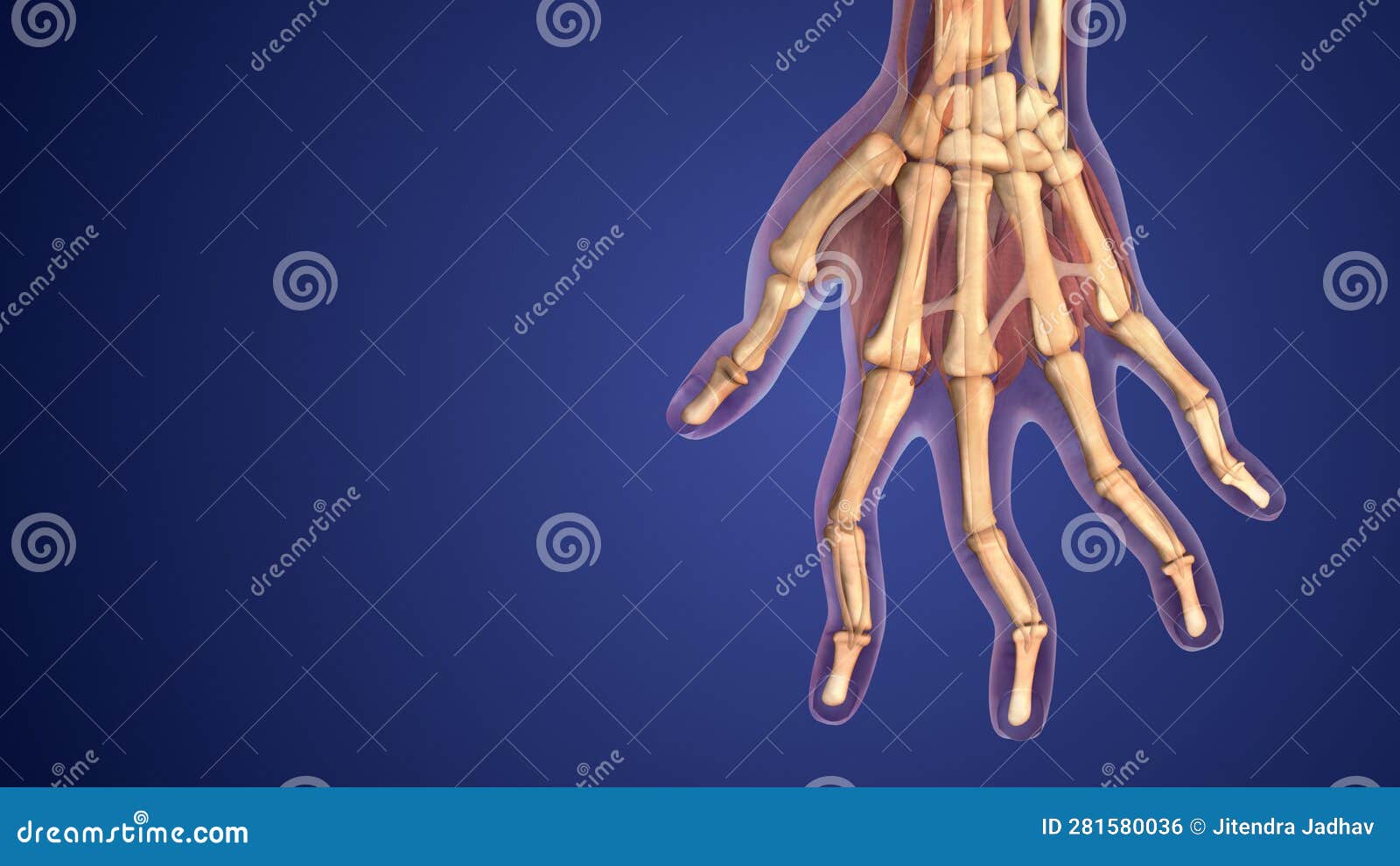 Autoimmune and Inflammatory Illness or Rheumatoid Arthritis Stock ...