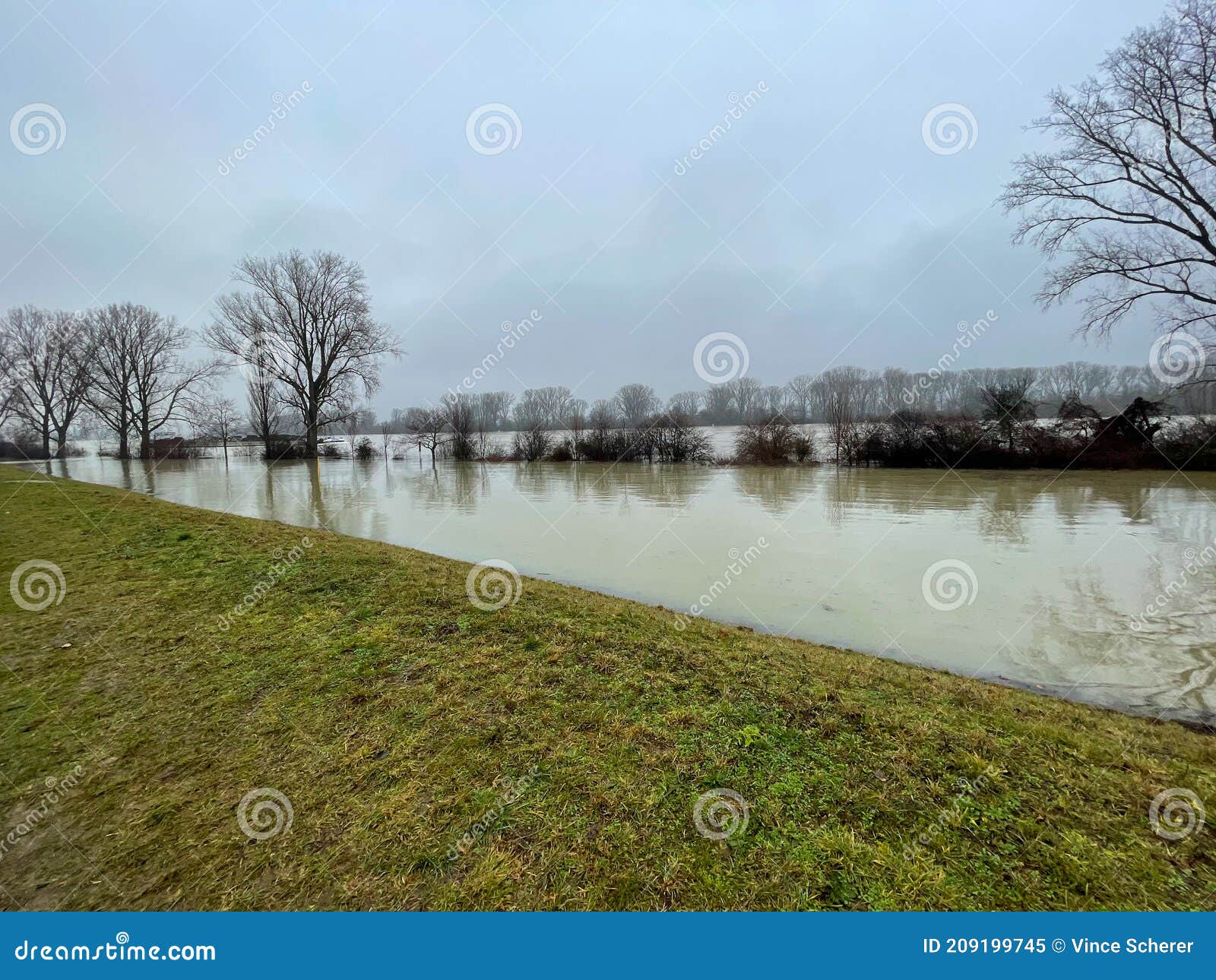 Rhine River Flooding Ludwigshafen Stock Image - Image of landmark ...