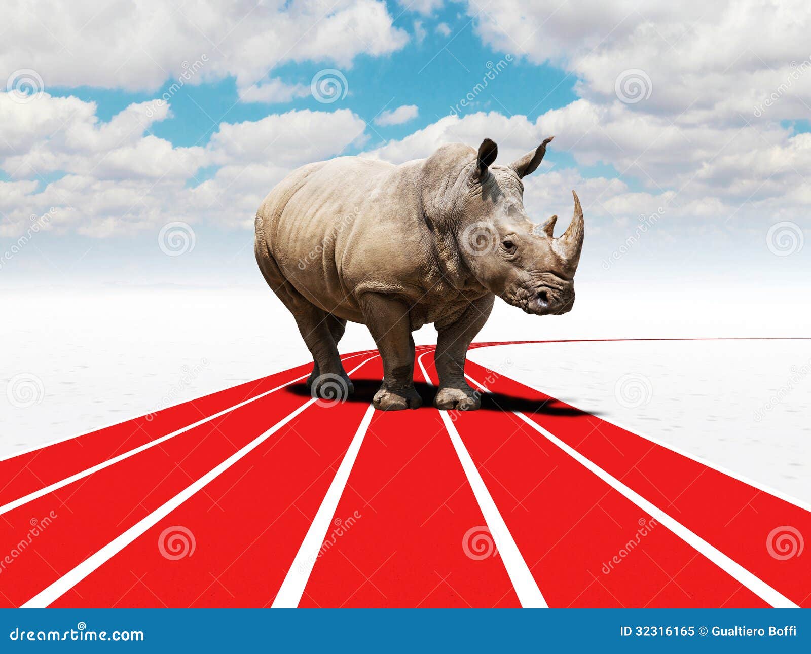 Rhino challenge stock image. Image of dangerous, clouds - 32316165
