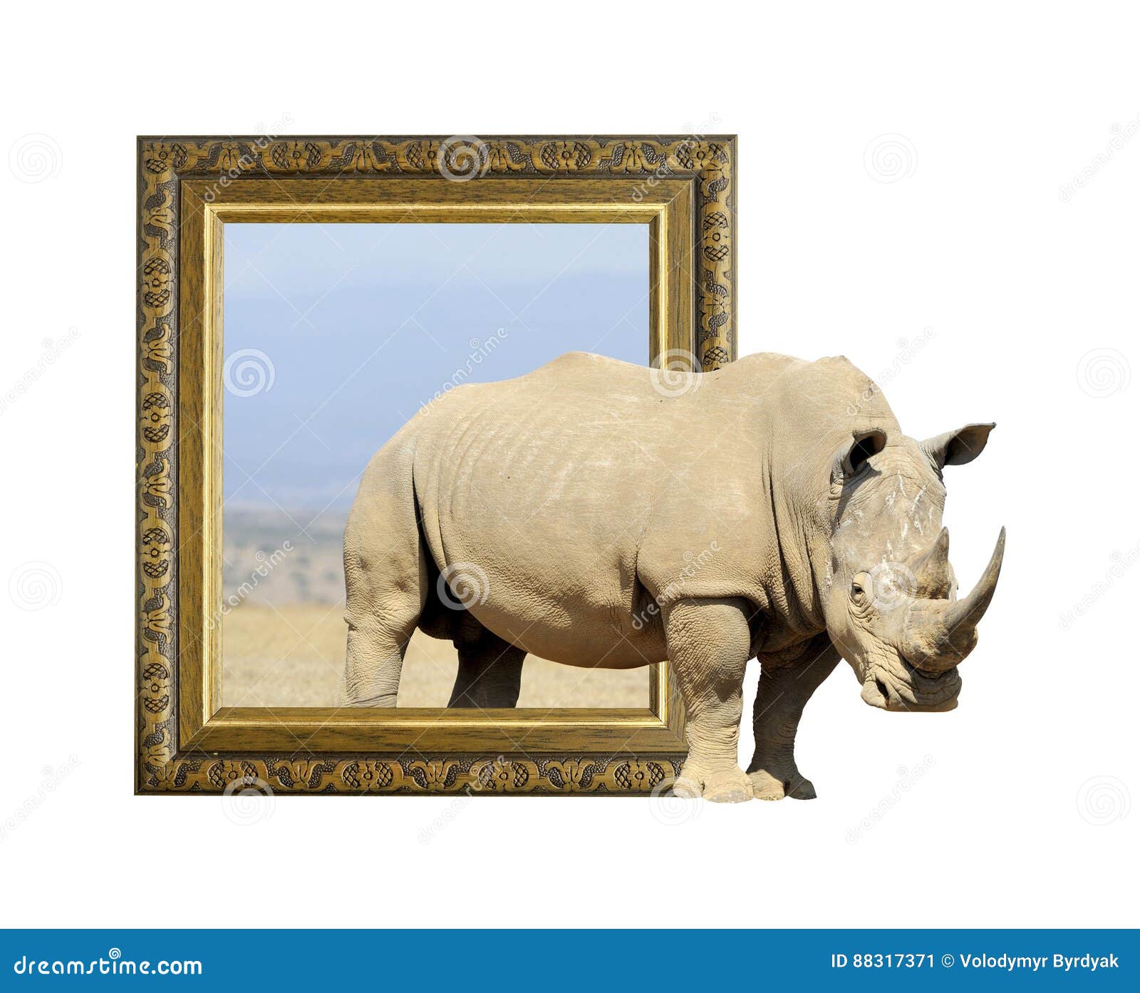 Rhino in Frame with 3d Effect Stock Image - Image of clip, isolated ...