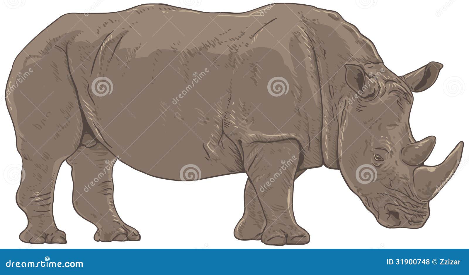 Rhino Illustration stock vector. Illustration of rhinoceros - 31900748