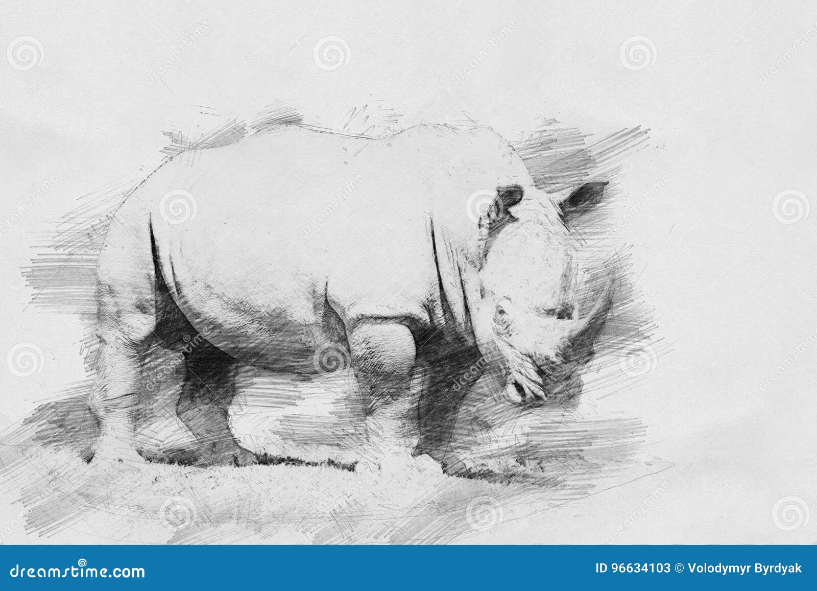Rhino. Sketch with pencil stock illustration. Illustration of drawn ...