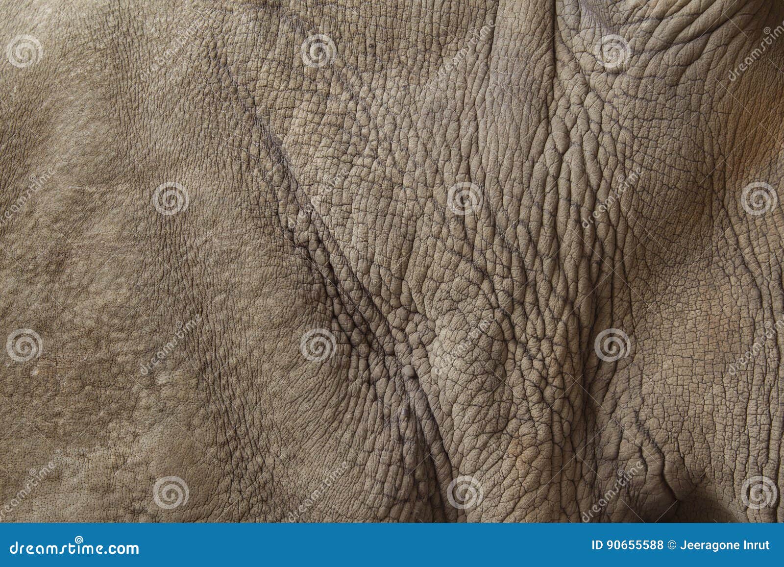 Rhino skin background stock photo. Image of wildlife - 90655588