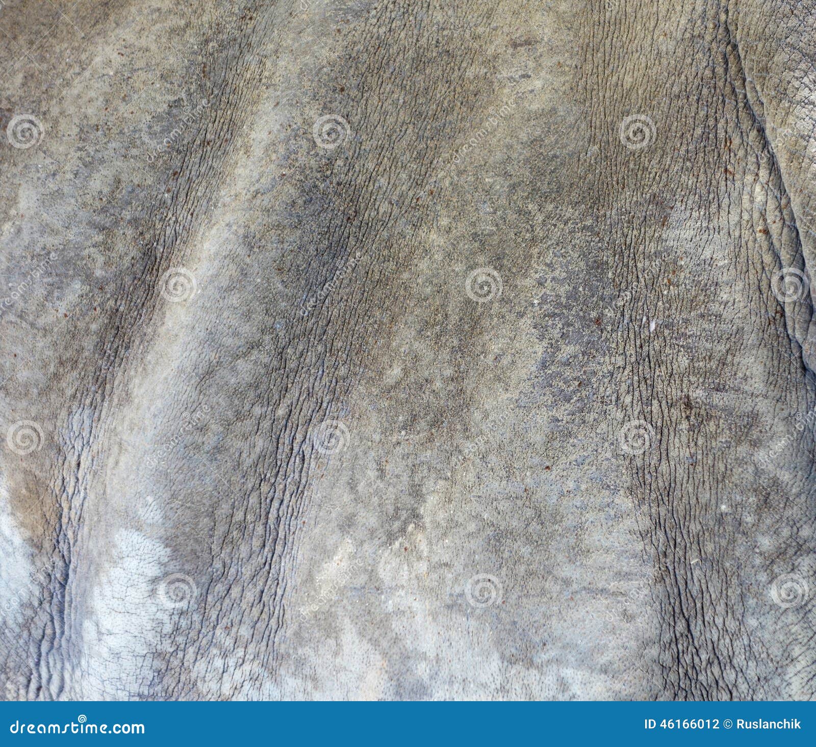 Rhino Skin Texture Royalty-Free Stock Photography | CartoonDealer.com ...