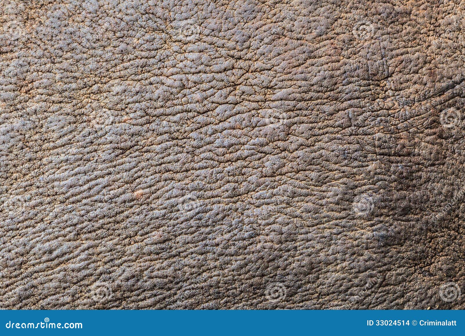 Rhino Skin Texture