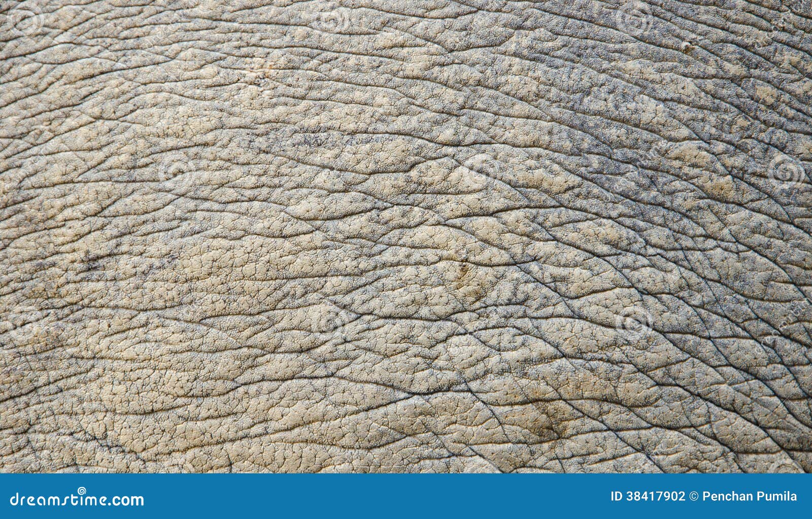 Rhino Skin Texture