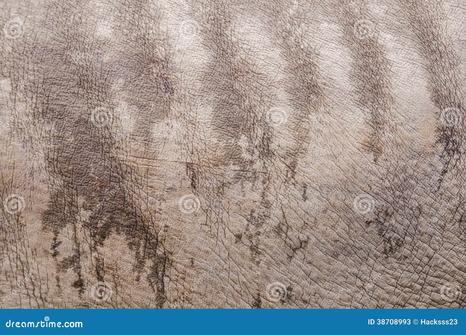 Rhino skin texture stock image. Image of rhino, dirty - 38708993
