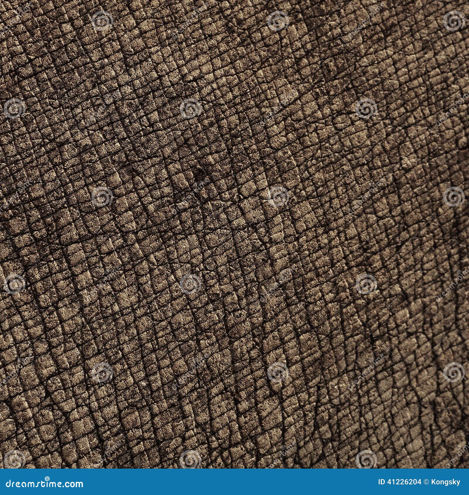 Rhino Textures Photos - Free & Royalty-Free Stock Photos from Dreamstime