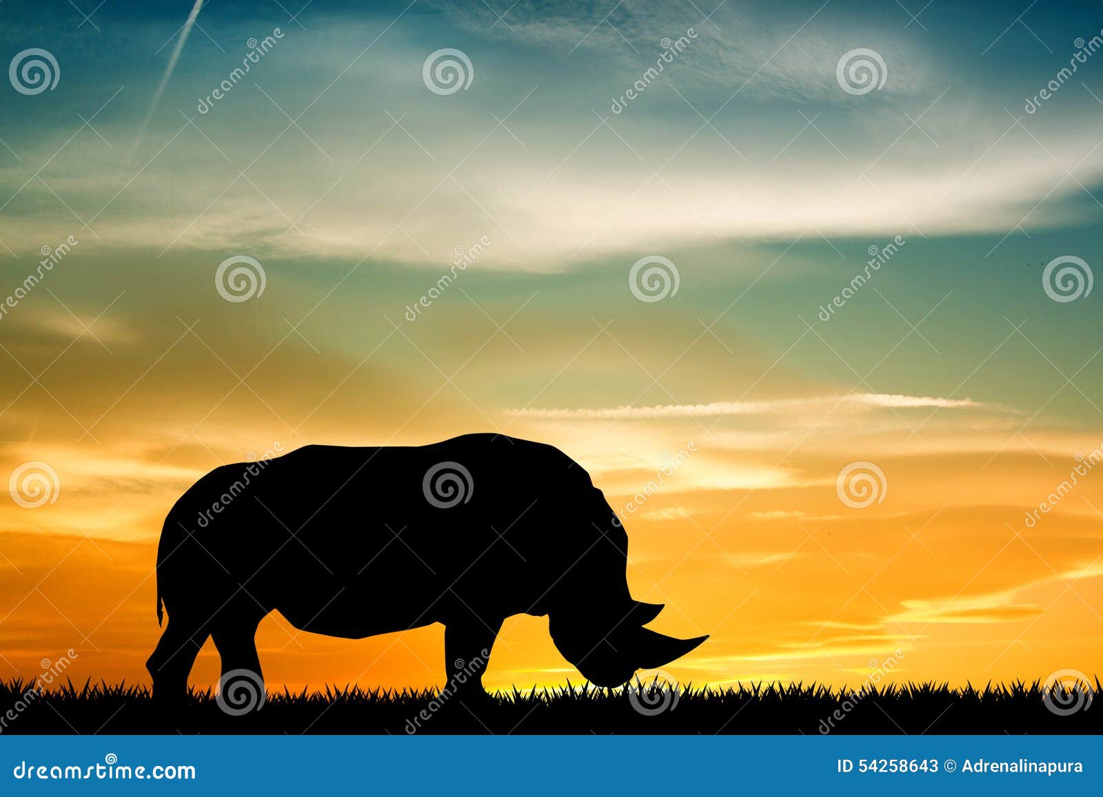 Rhino at sunset stock illustration. Illustration of animal - 54258643