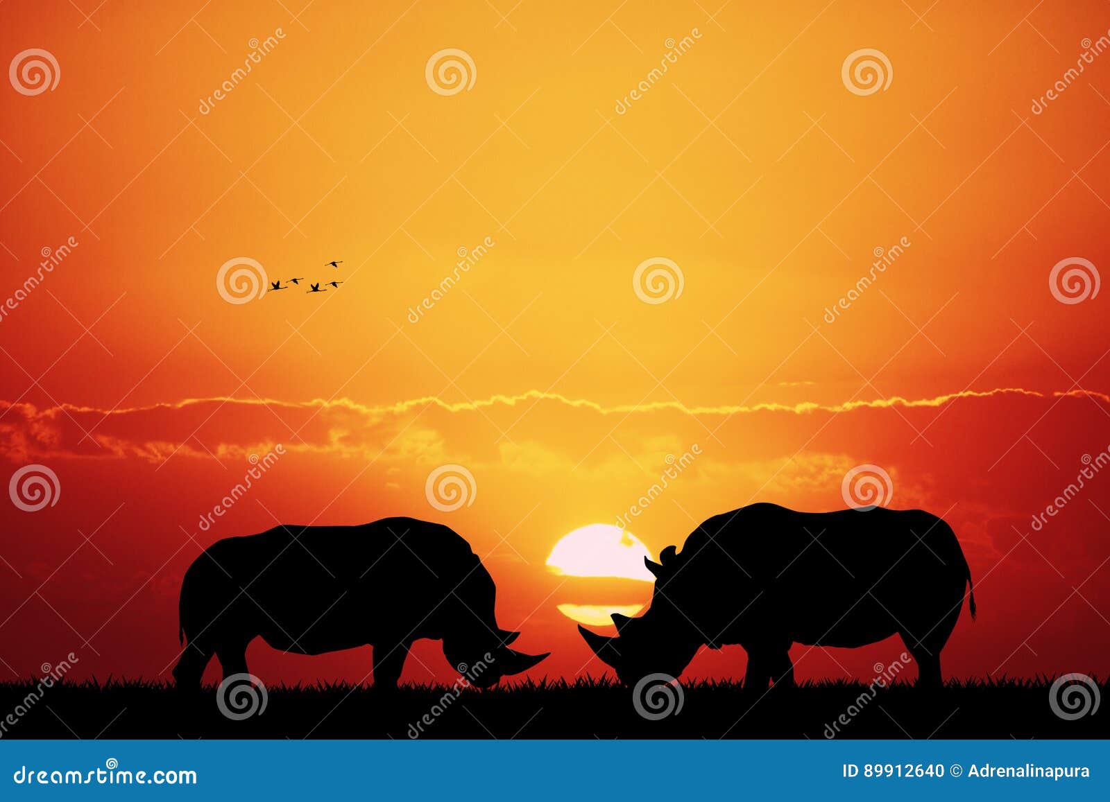 Rhino at sunset stock illustration. Illustration of sunset - 89912640