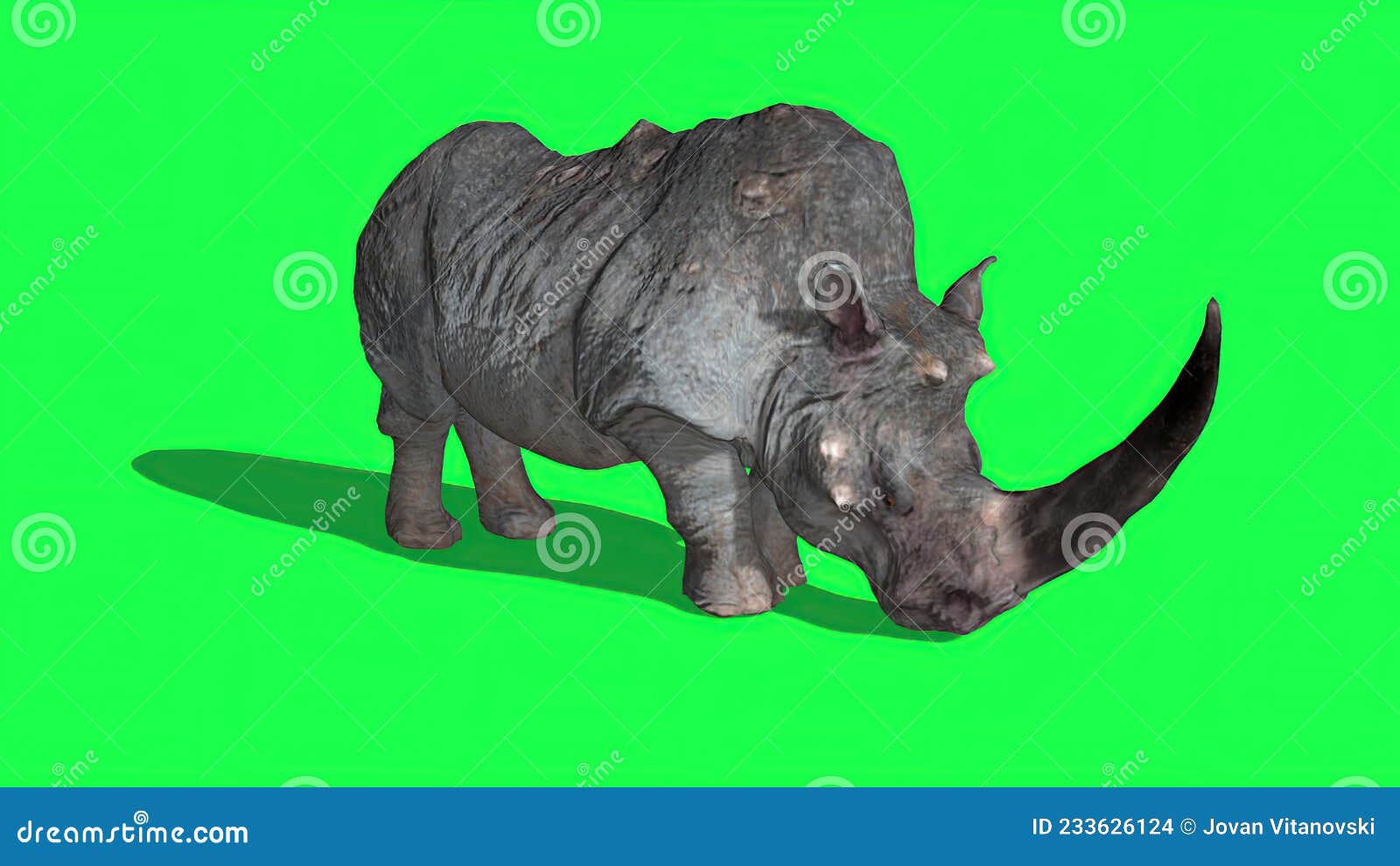 Rhinoceros on Green Screen stock illustration. Illustration of south ...