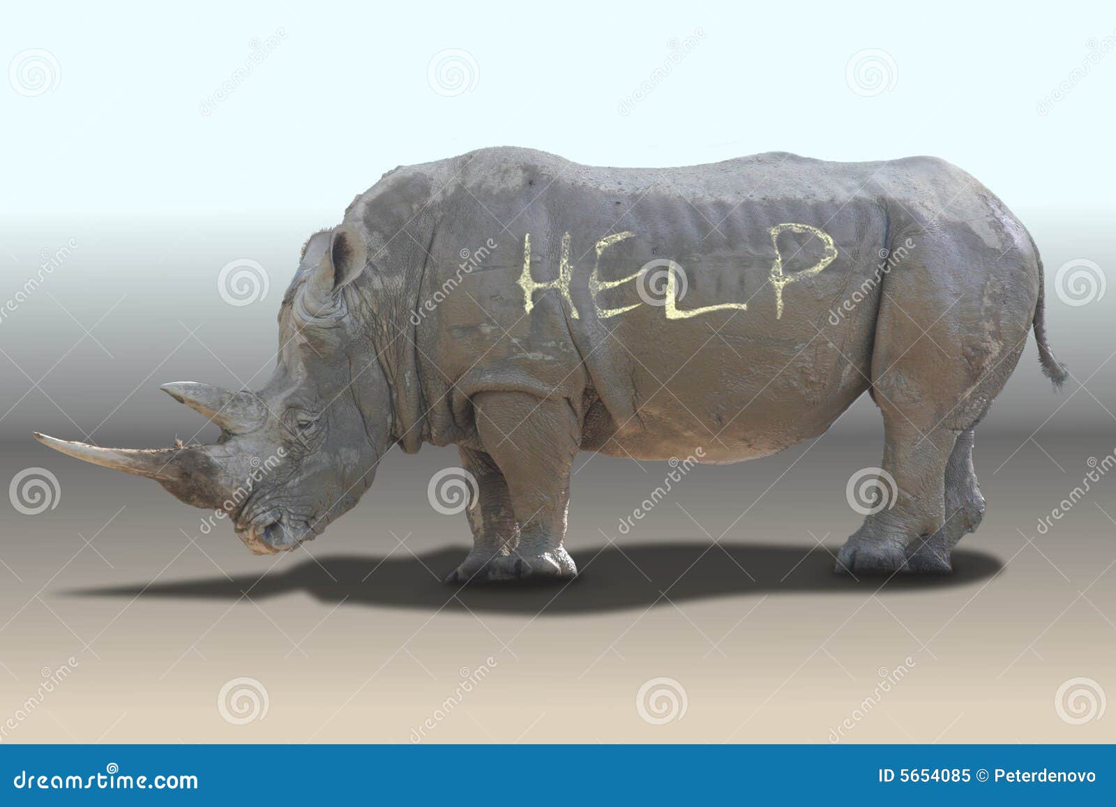 Rhinoceros need help stock image. Image of rhinoceros - 5654085