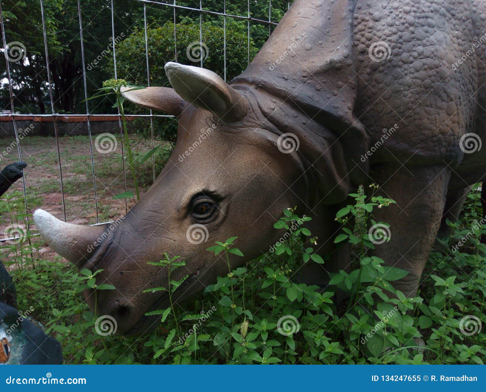 11,826 Rhinoceros Park Photos - Free & Royalty-Free Stock Photos from ...