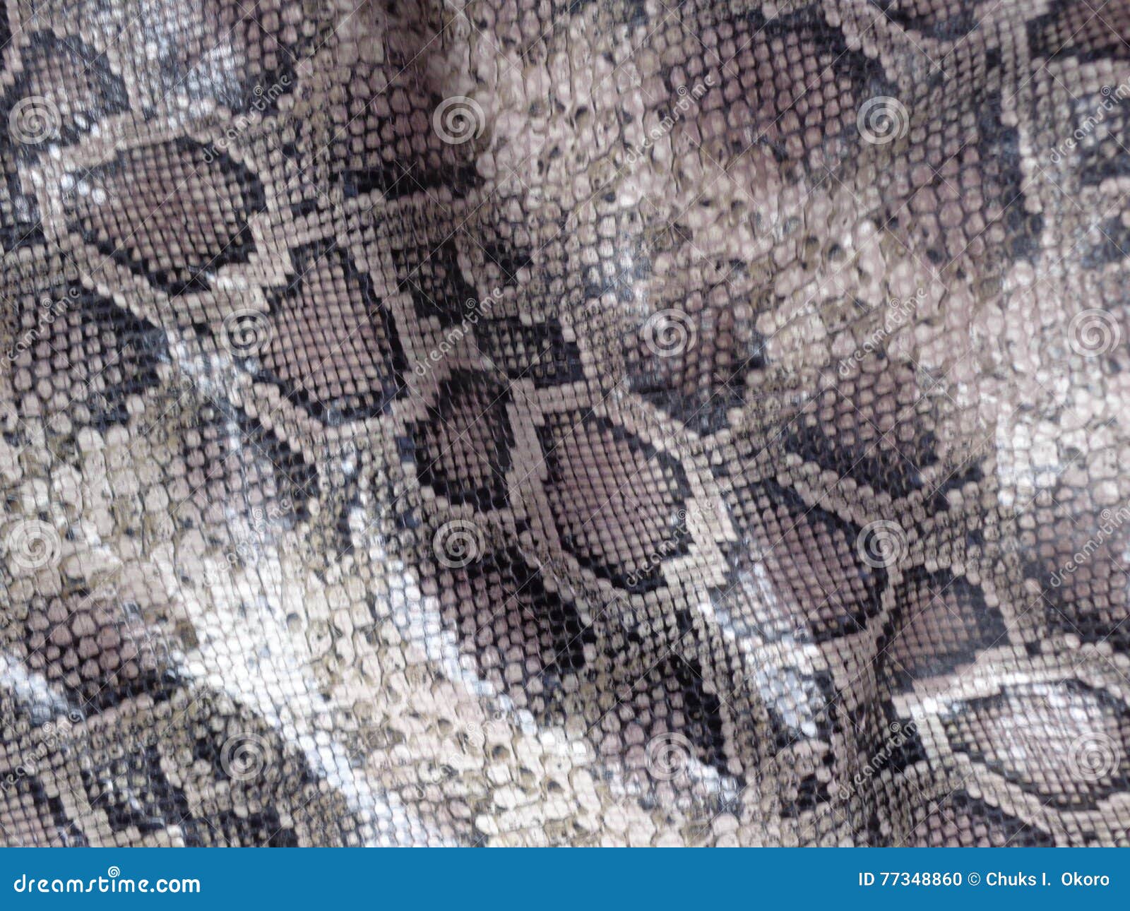 Rhinoceros Viper Skin Pattern Stock Photo - Image of poster, jaguar ...