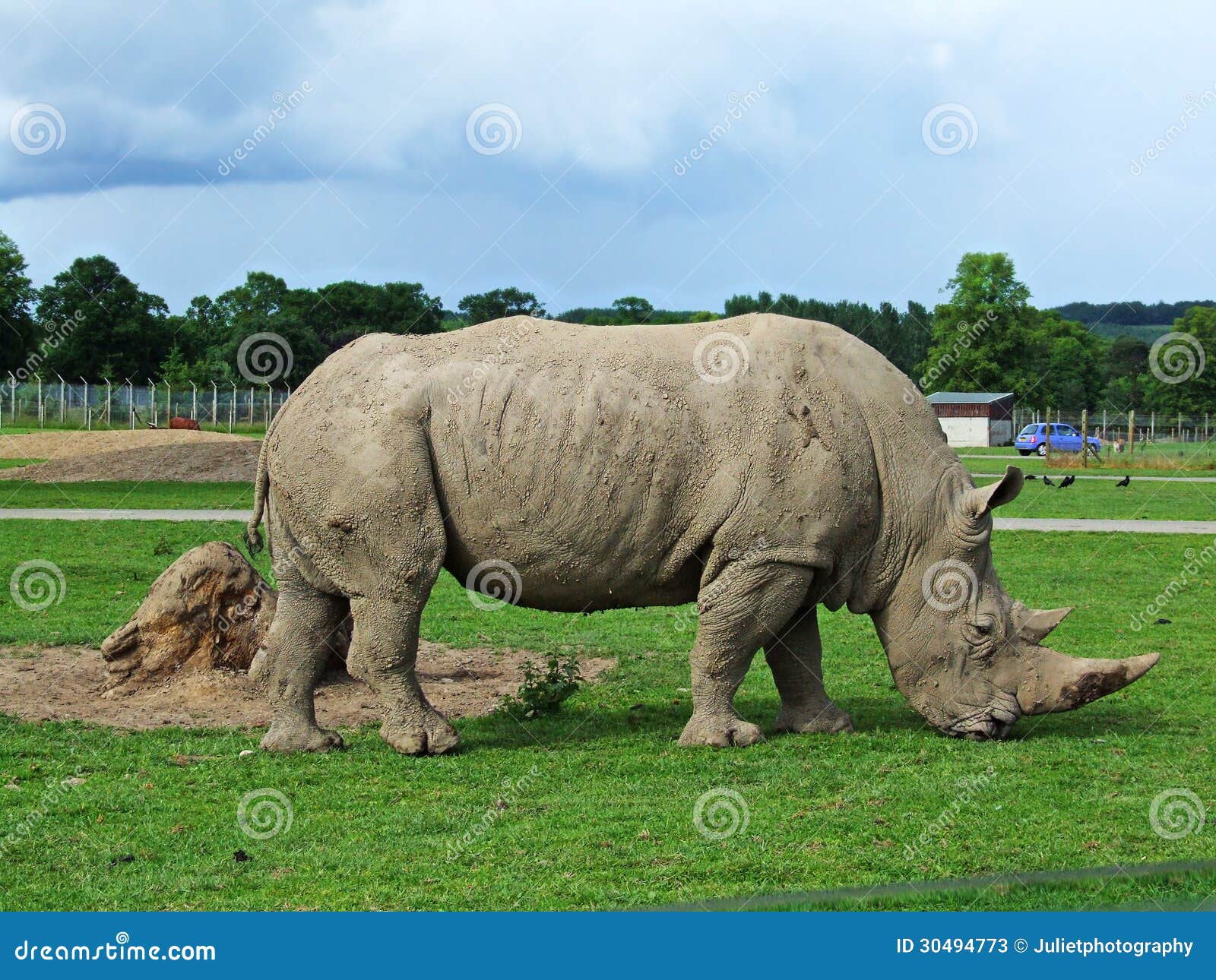 Rhinosaurus stock image. Image of landscape, adventure - 30494773