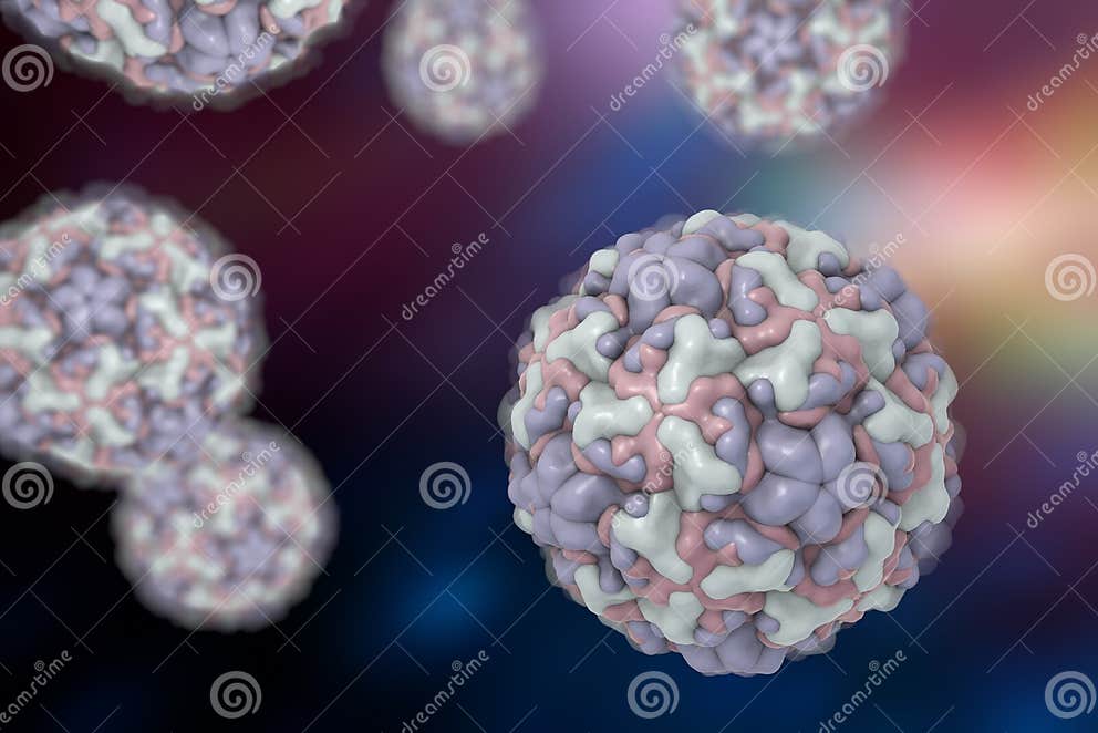 Rhinoviruses, Viruses of Common Cold Stock Image - Image of medicine ...