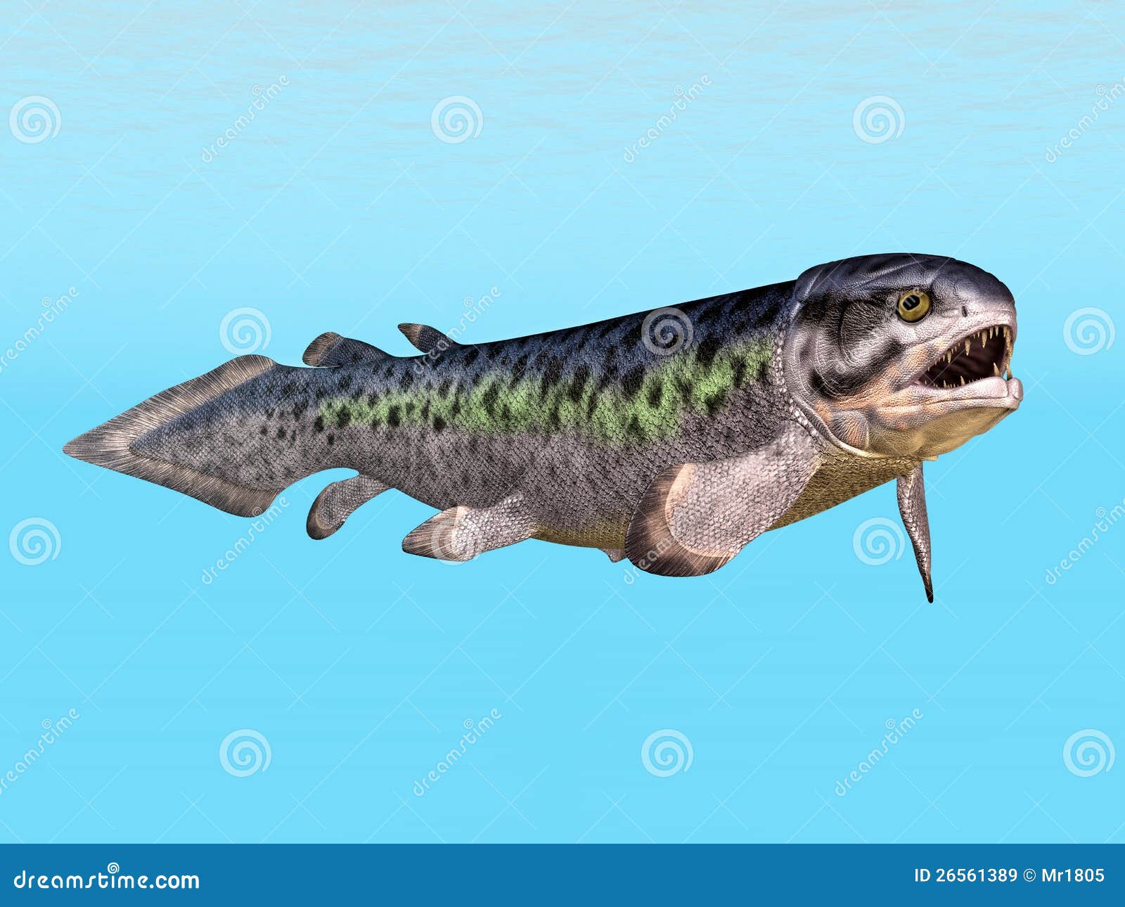 Rhizodus illustration stock. Illustration of nature, illustration ...