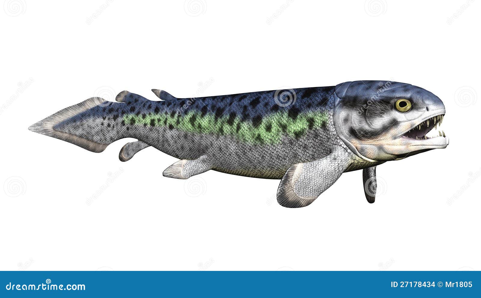 Rhizodus Royalty-Free Cartoon | CartoonDealer.com #31241966