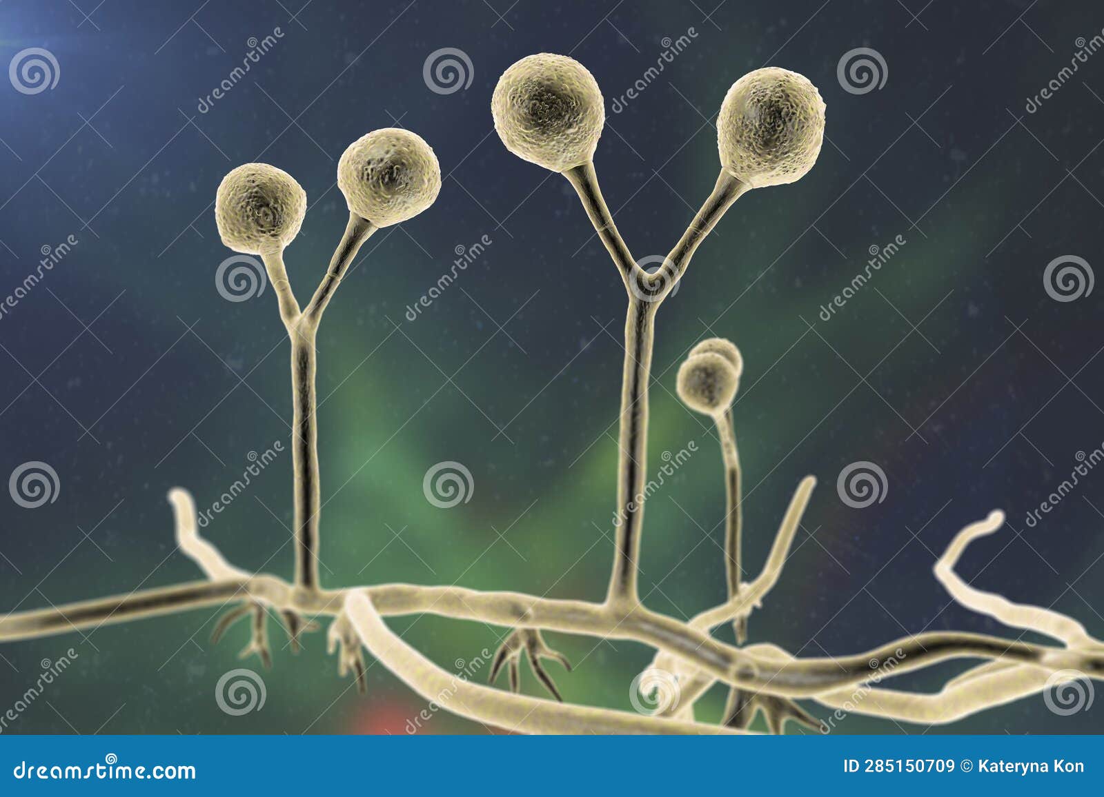 Illustration Of Filamentous M13 Phage Virus Structure Royalty-Free ... Illustration Of Filamentous M13 Phage Virus Structure Royalty-Free ...