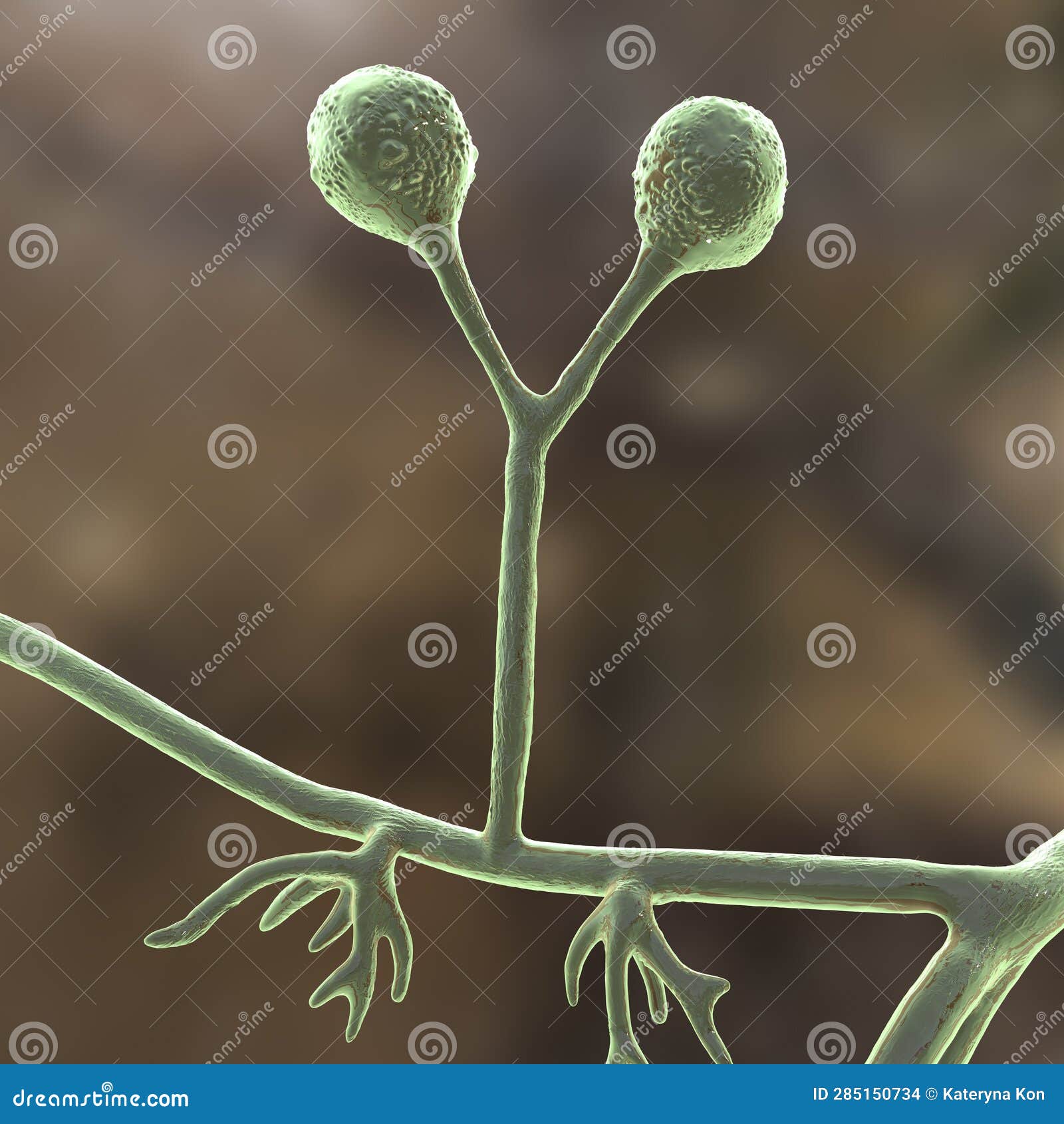 Illustration Of Filamentous M13 Phage Virus Structure Royalty-Free ... Illustration Of Filamentous M13 Phage Virus Structure Royalty-Free ...