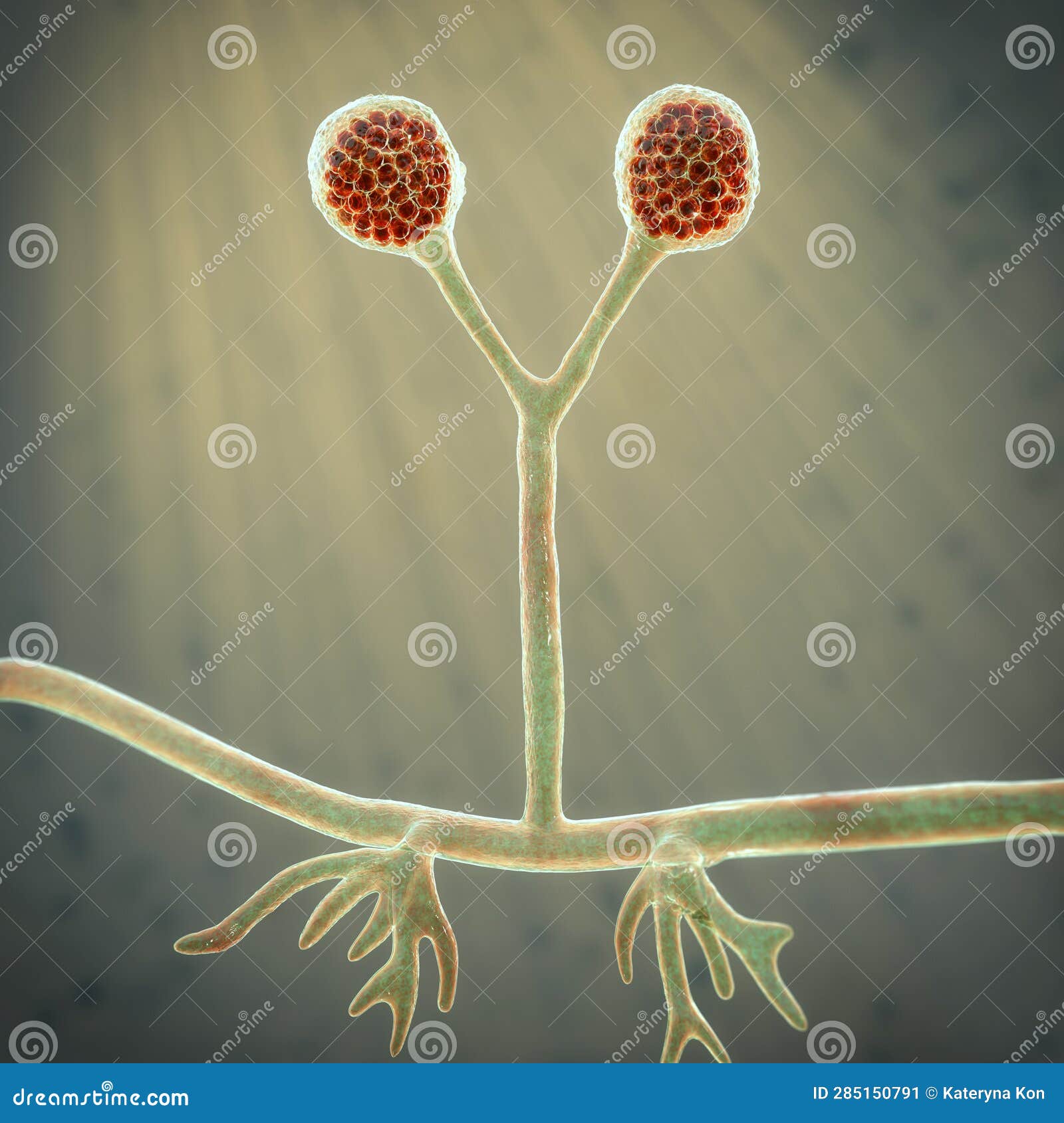 Illustration Of Filamentous M13 Phage Virus Structure Royalty-Free ... Illustration Of Filamentous M13 Phage Virus Structure Royalty-Free ...