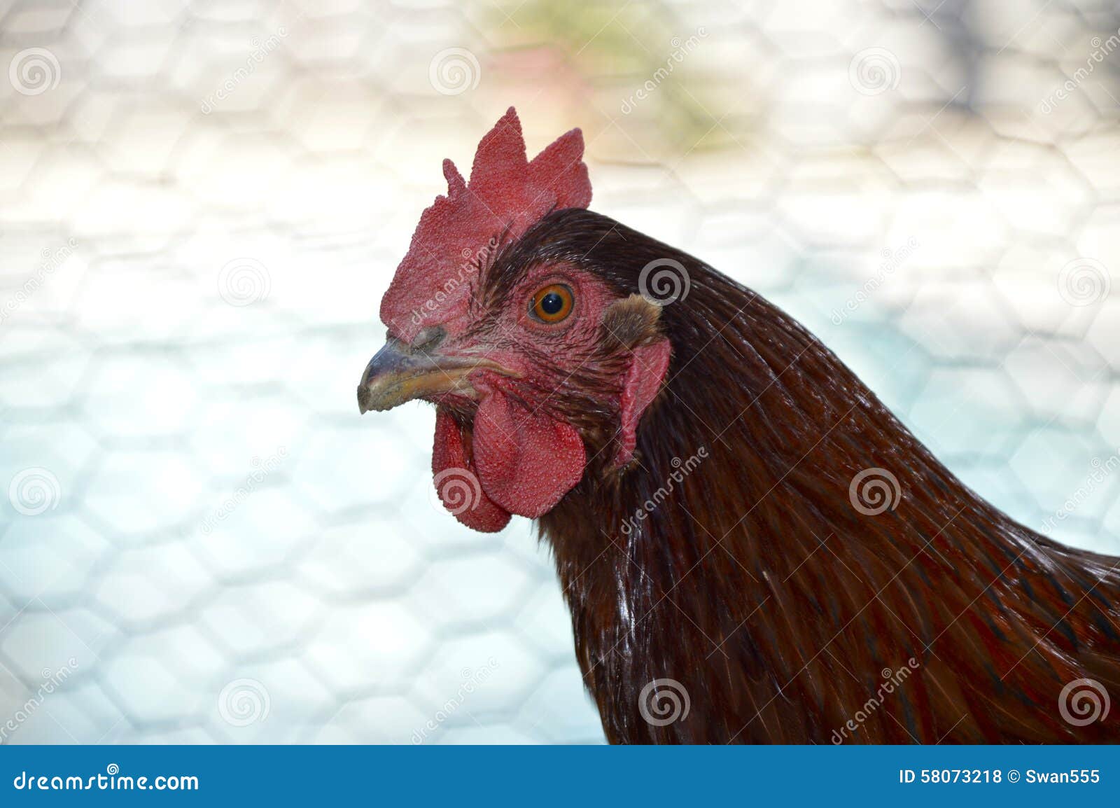 Chinese Red Chicken