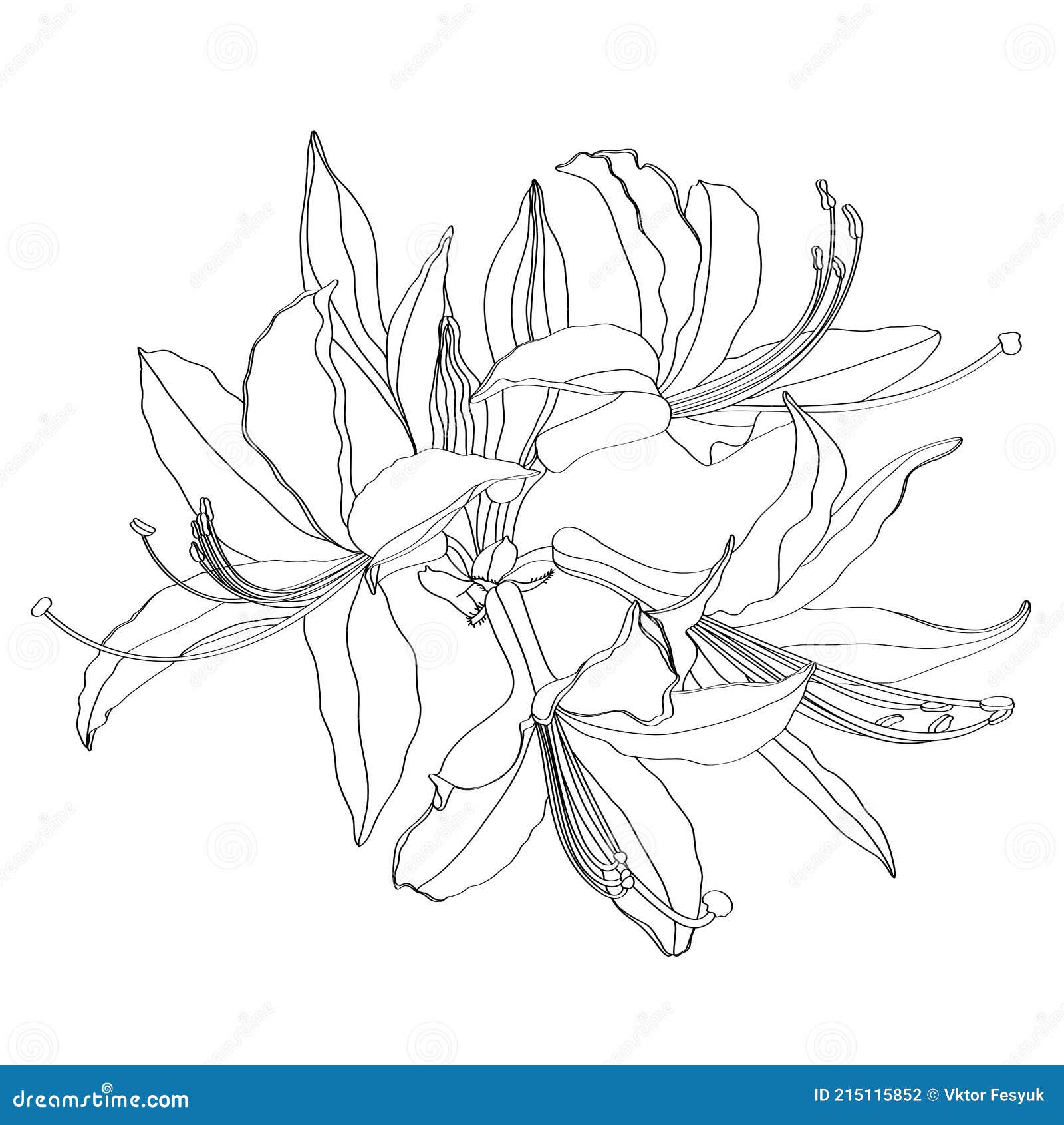 Rhododendron, Oleander Flower. Hand Drawn Spring Blossoms Poster ...