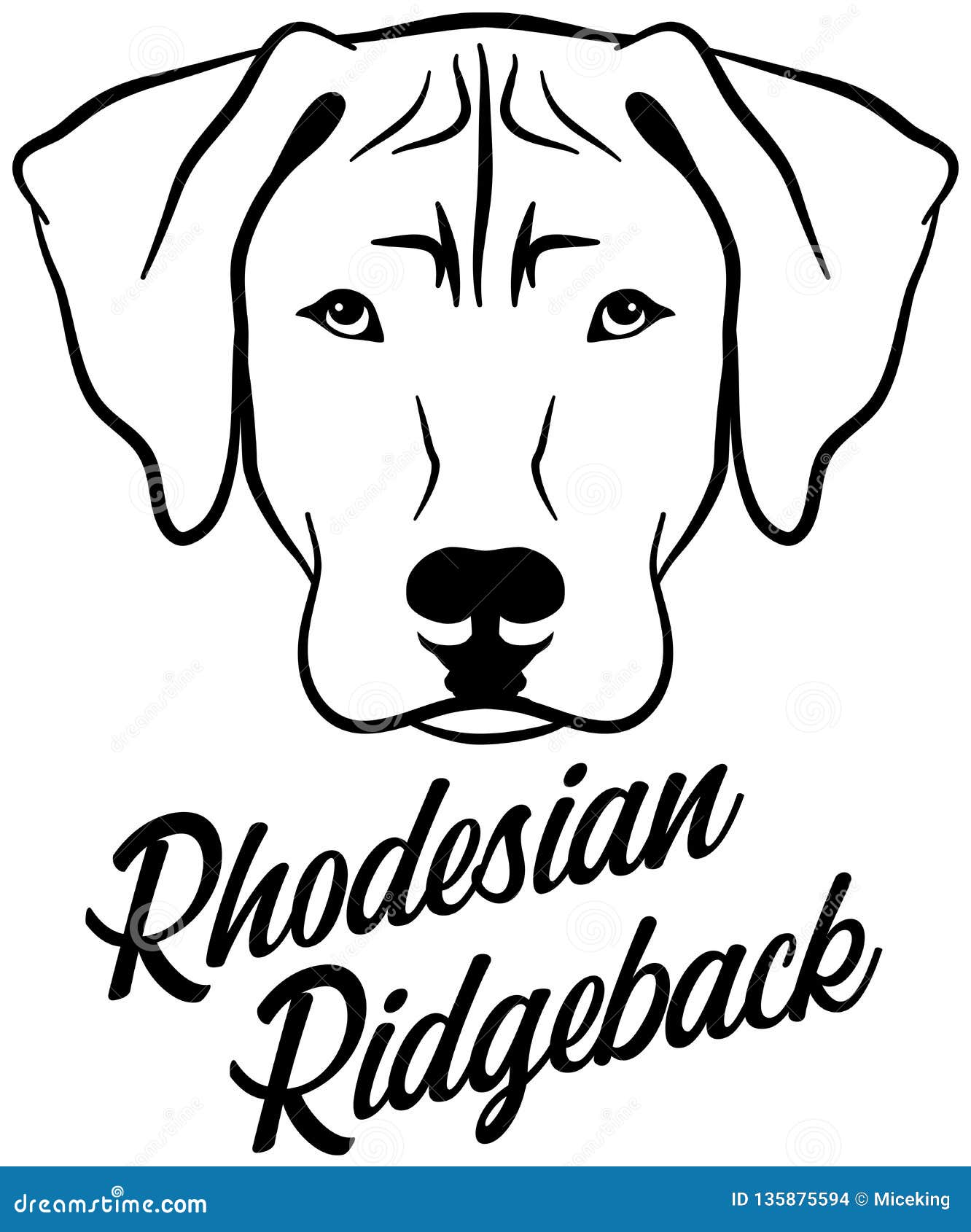 Rhodesian Ridgeback head stock vector. Illustration of face - 135875594