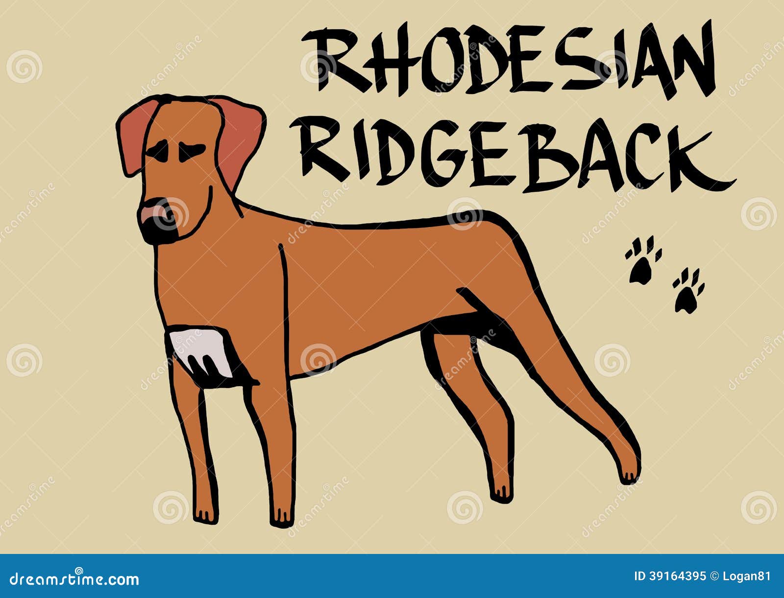 Rhodesian ridgeback stock illustration. Illustration of mark - 39164395