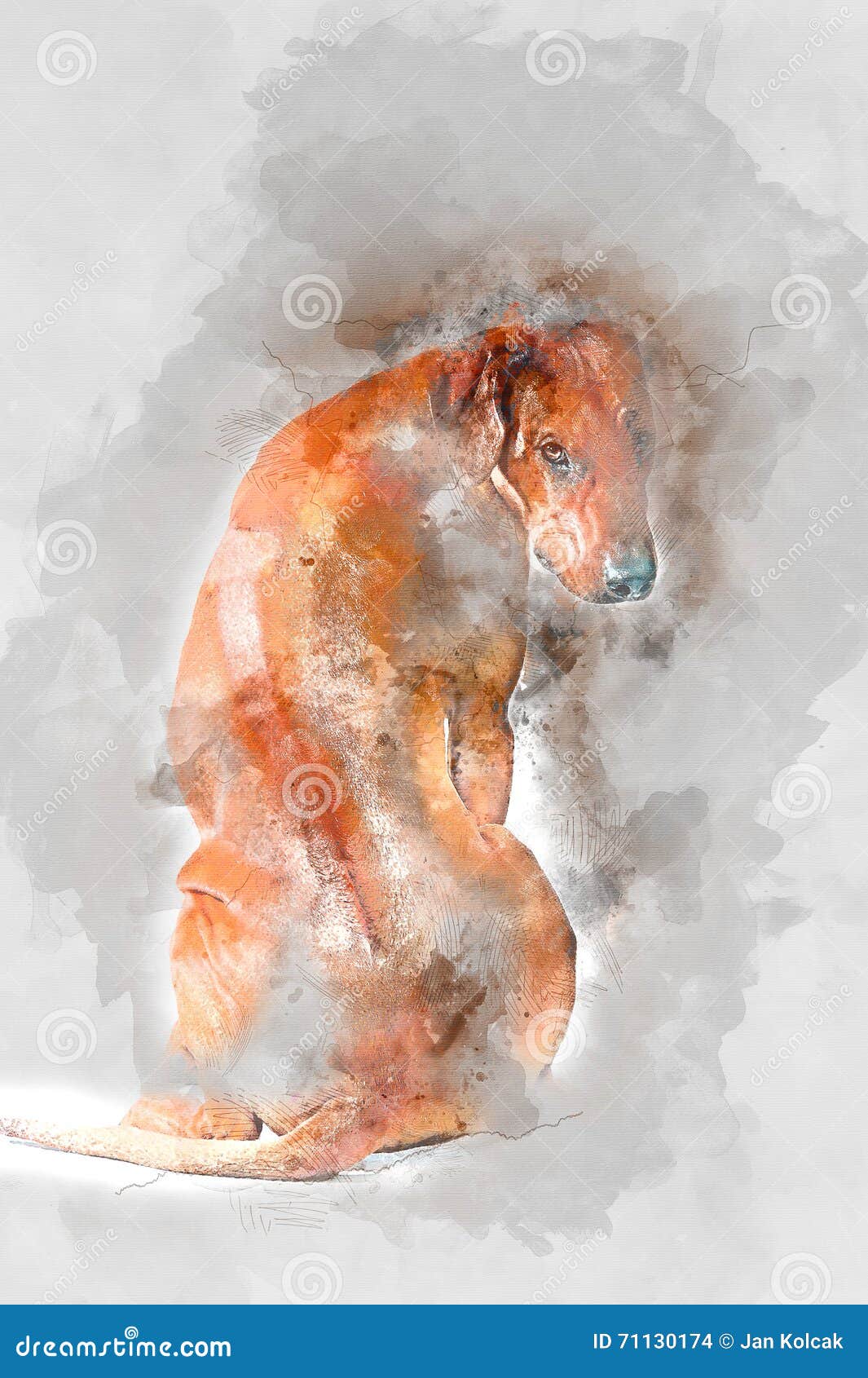 Rhodesian Cartoons, Illustrations & Vector Stock Images - 162 Pictures ...