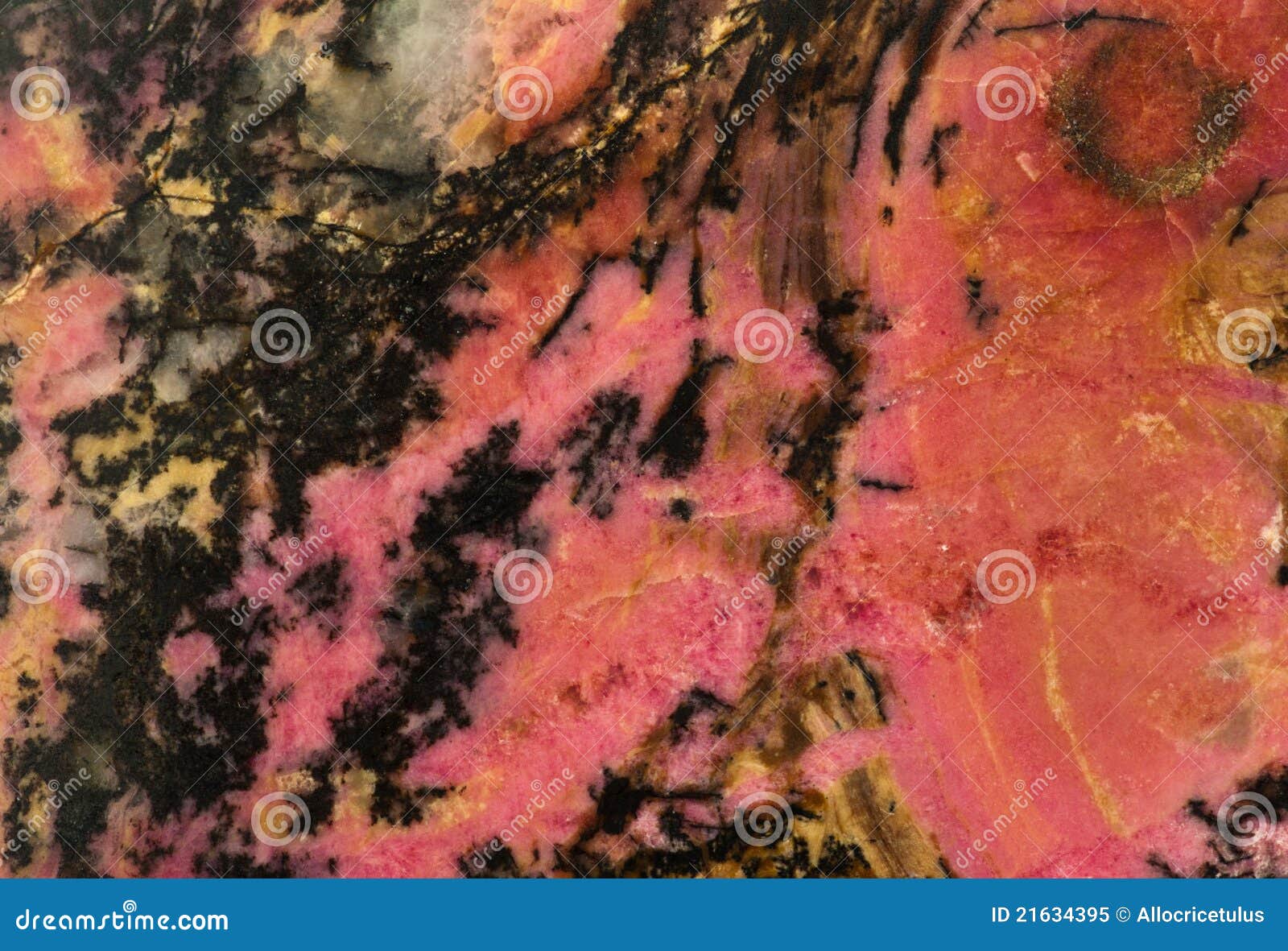 Rhodonite stock image. Image of collection, showpiece - 21634395