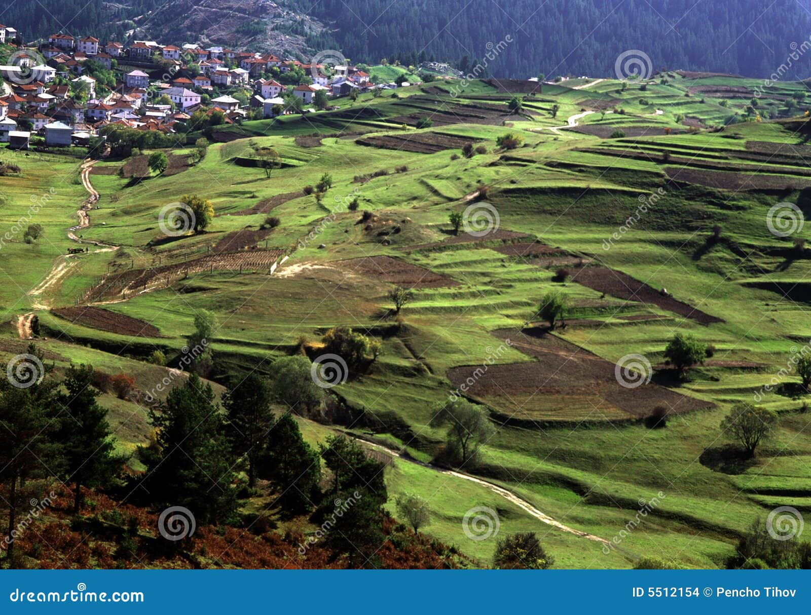 The Rhodope - Bulgaria - Balkans, Europe Stock Photo - Image of field ...