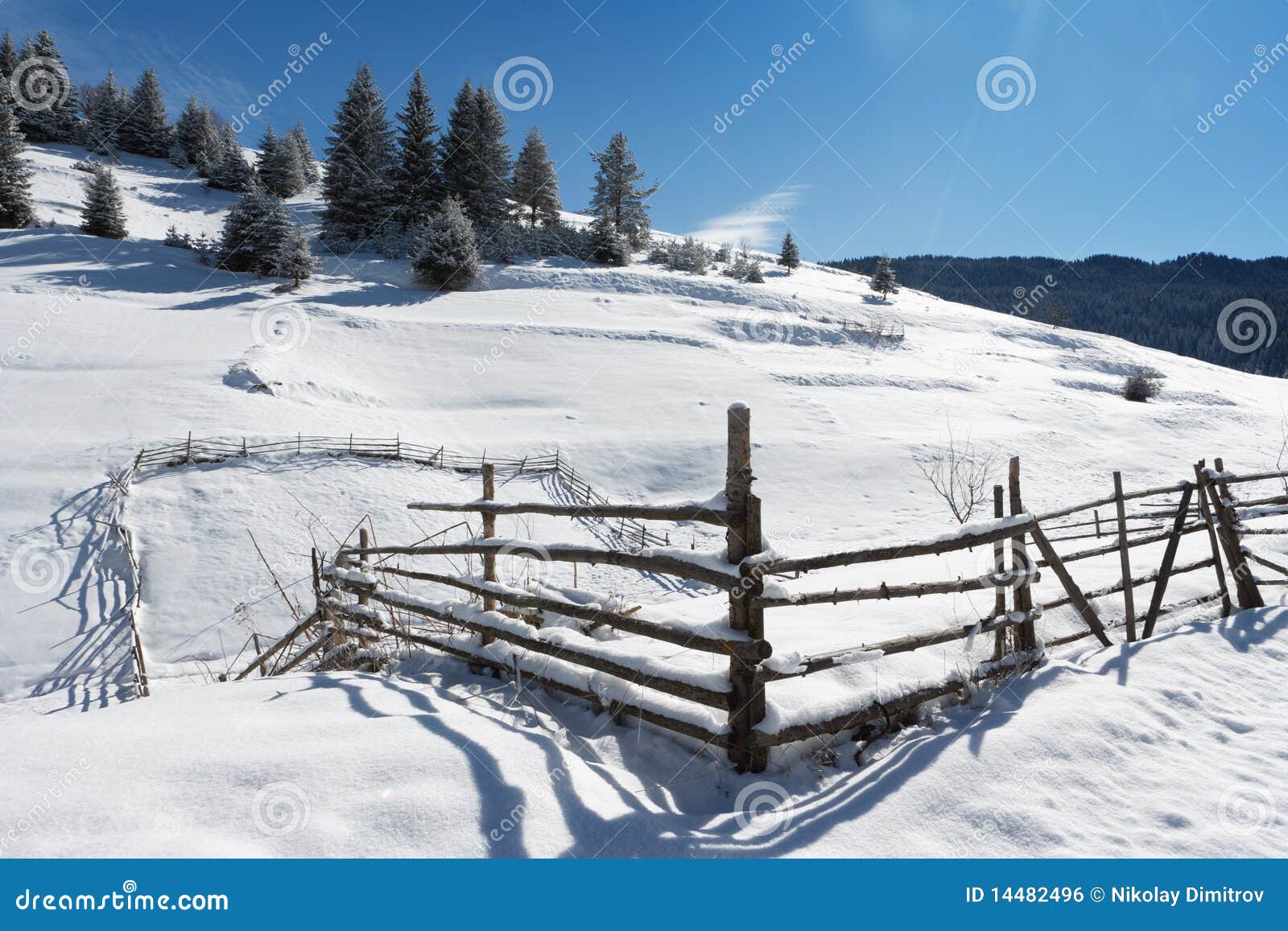 Rhodope mountain winter stock photo. Image of snow, season - 14482496