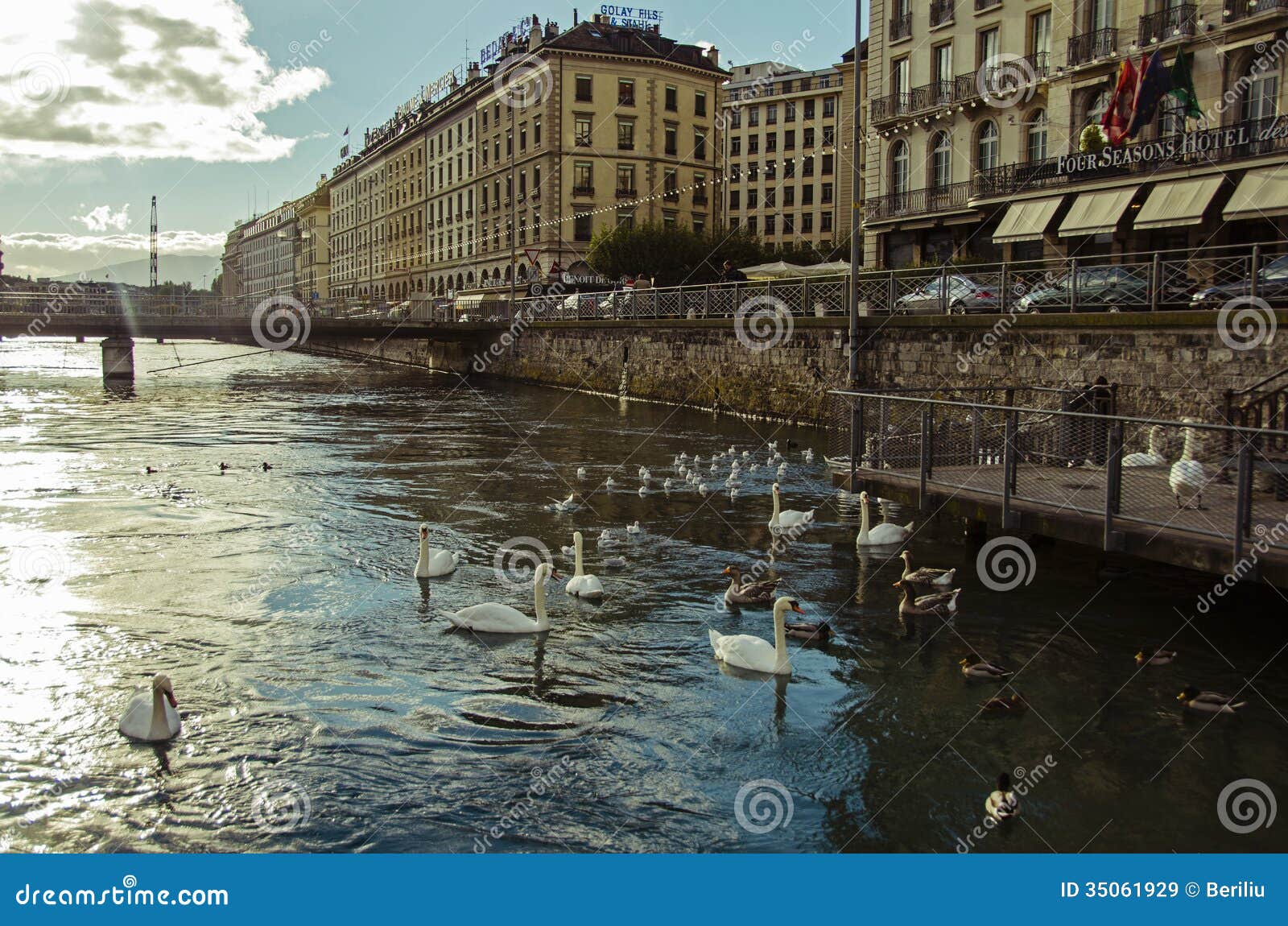 Rhone in geneva editorial stock image. Image of bird - 35061929