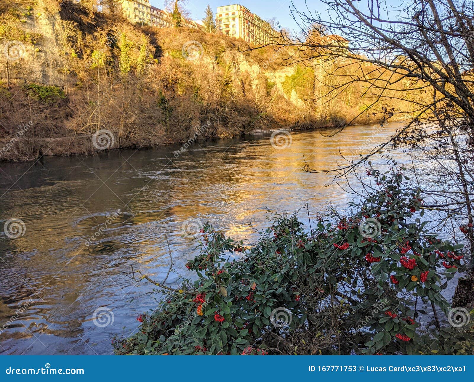 Rhone River in Geneva, Switzerland Stock Image - Image of swiss, line ...